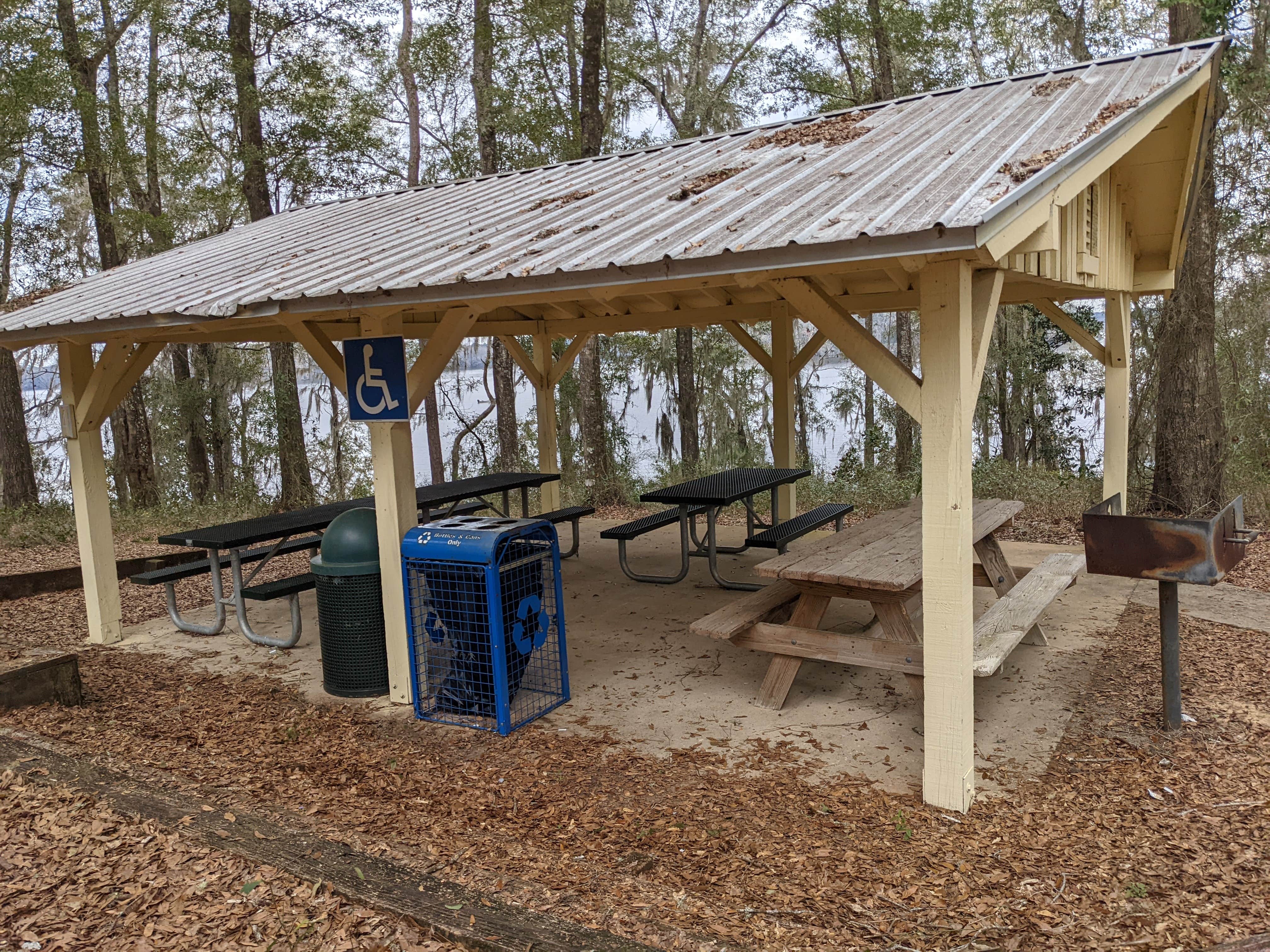 Hall Landing Campground | Tallahassee, FL