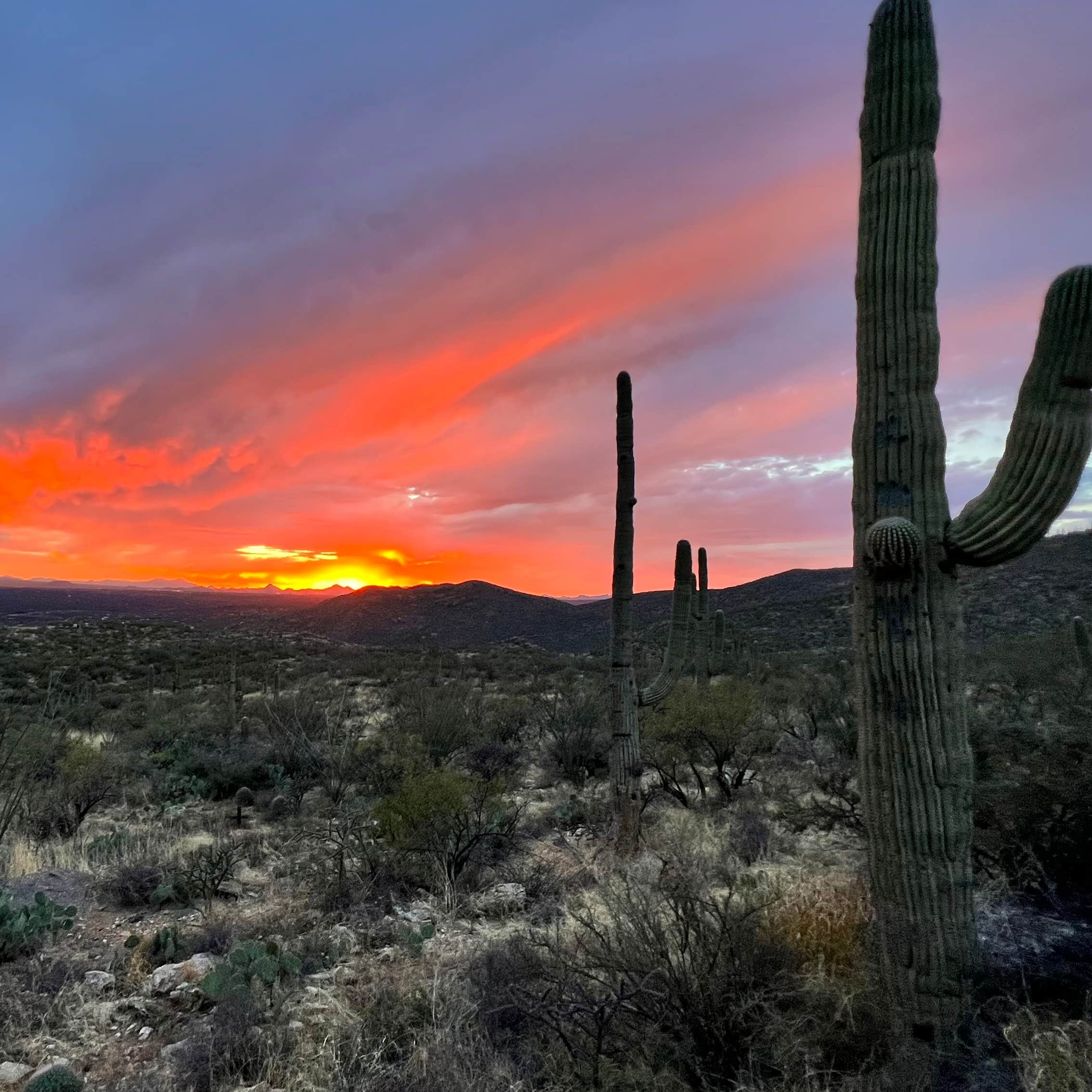 Redington Pass - Dispersed Camping | Saguaro National Park, Arizona
