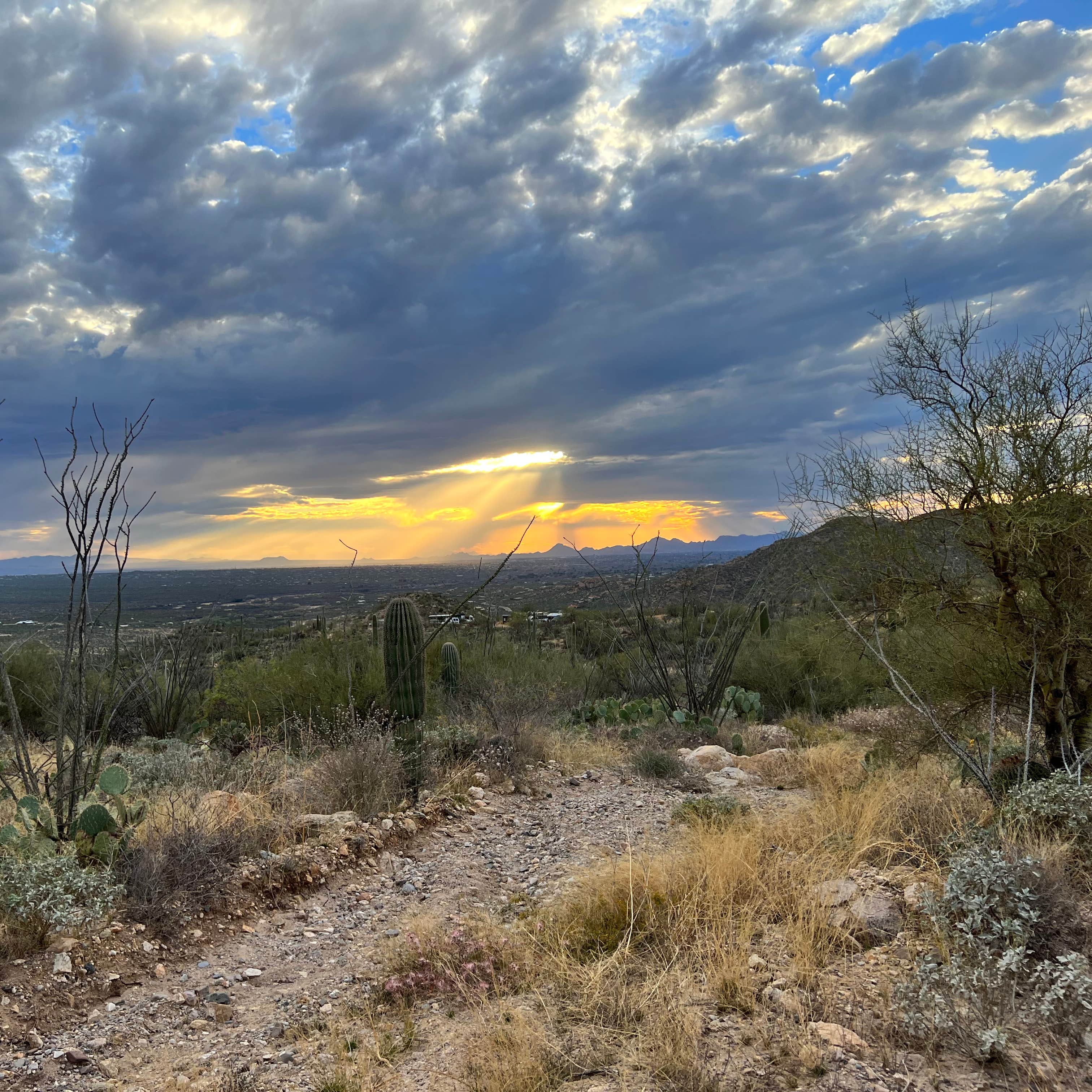 Redington Pass - Dispersed Camping | Saguaro National Park, Arizona