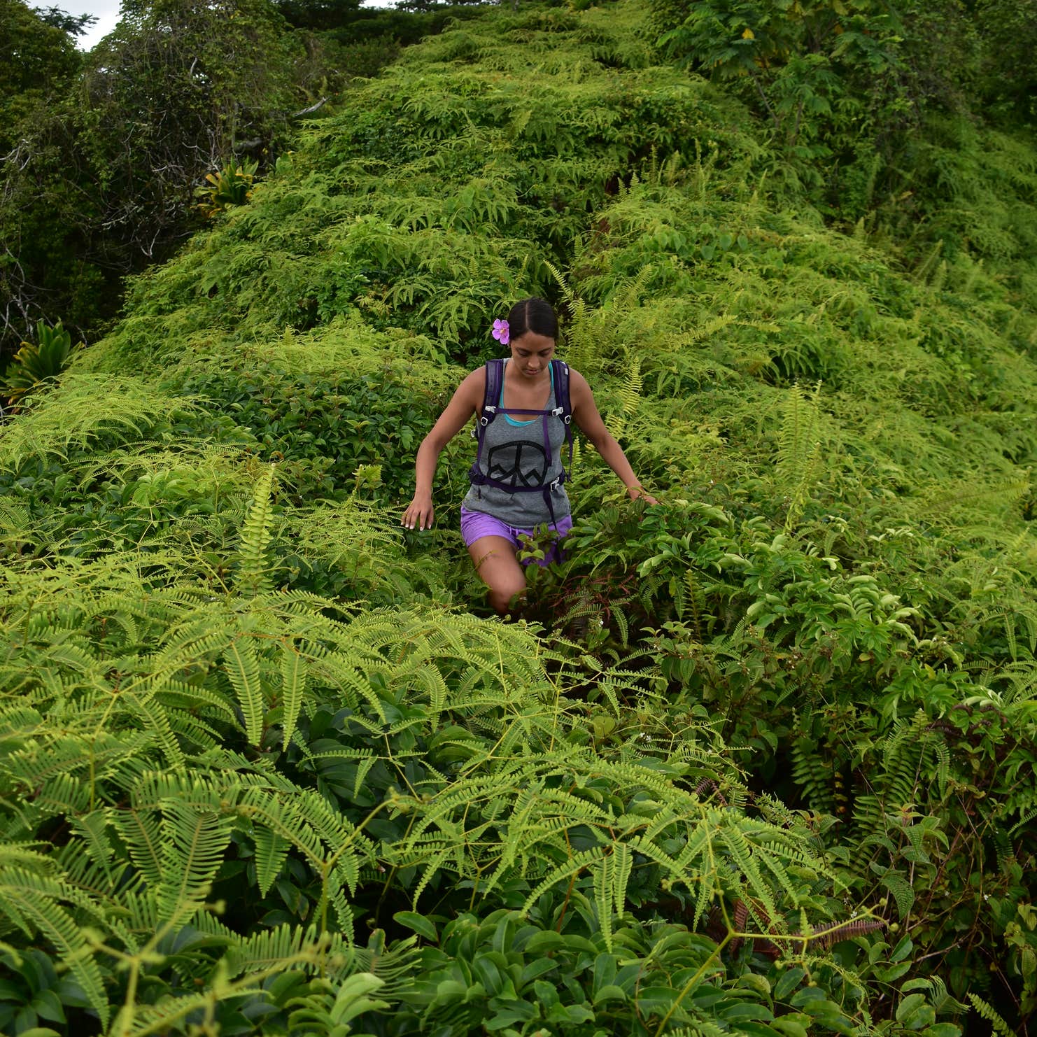 Hanamaulu Beach Park Camping | Kapa‘a, Hawaii