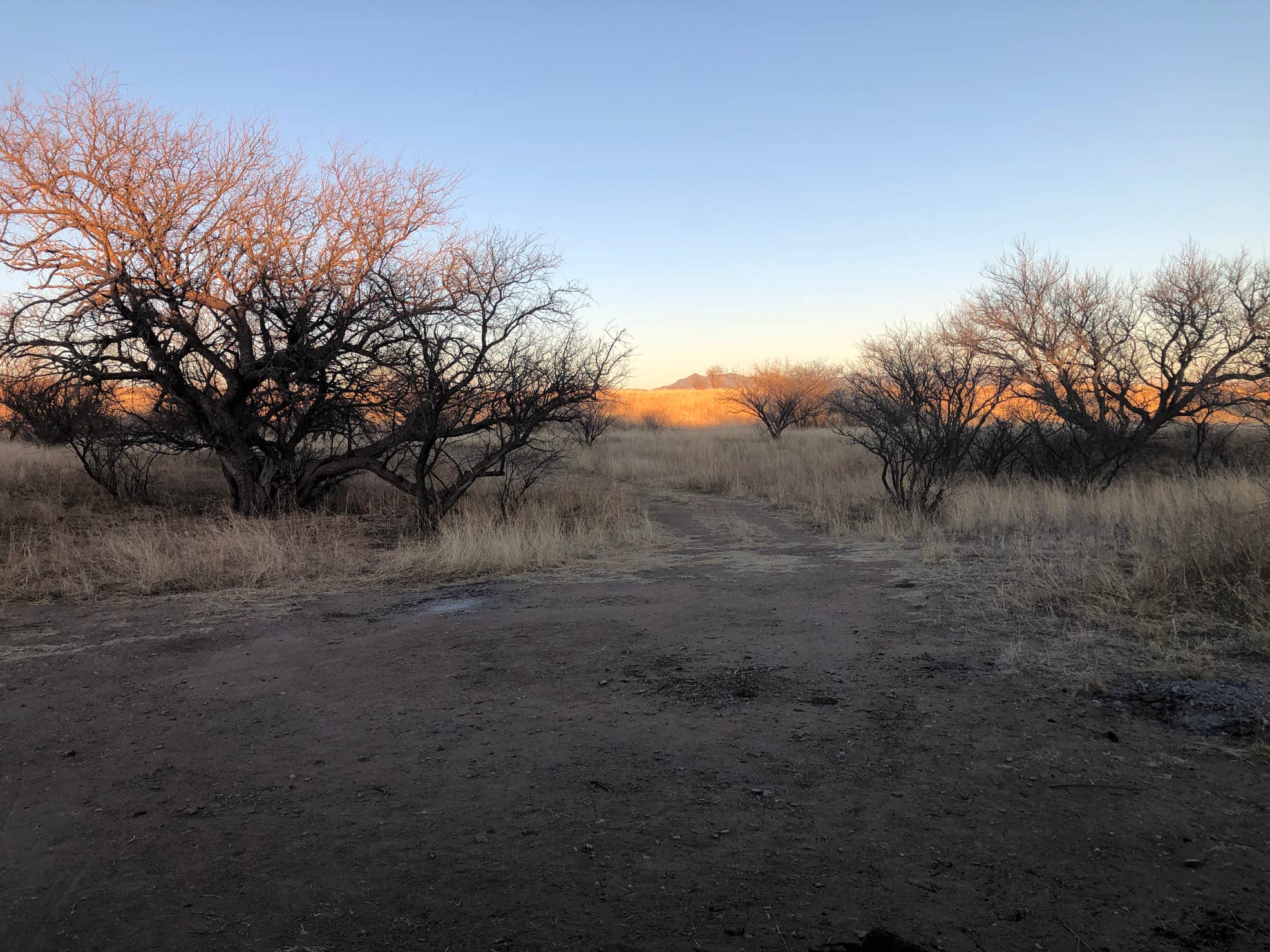 Empire Ranch Area Dispersed Camping Camping | The Dyrt