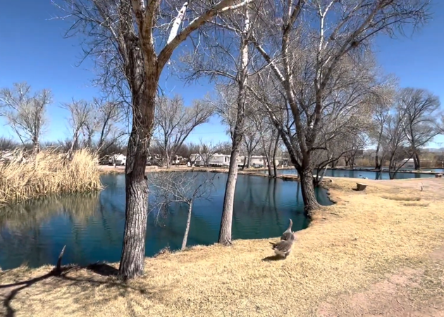 Pato Blanco Lakes RV Resort Camping | The Dyrt