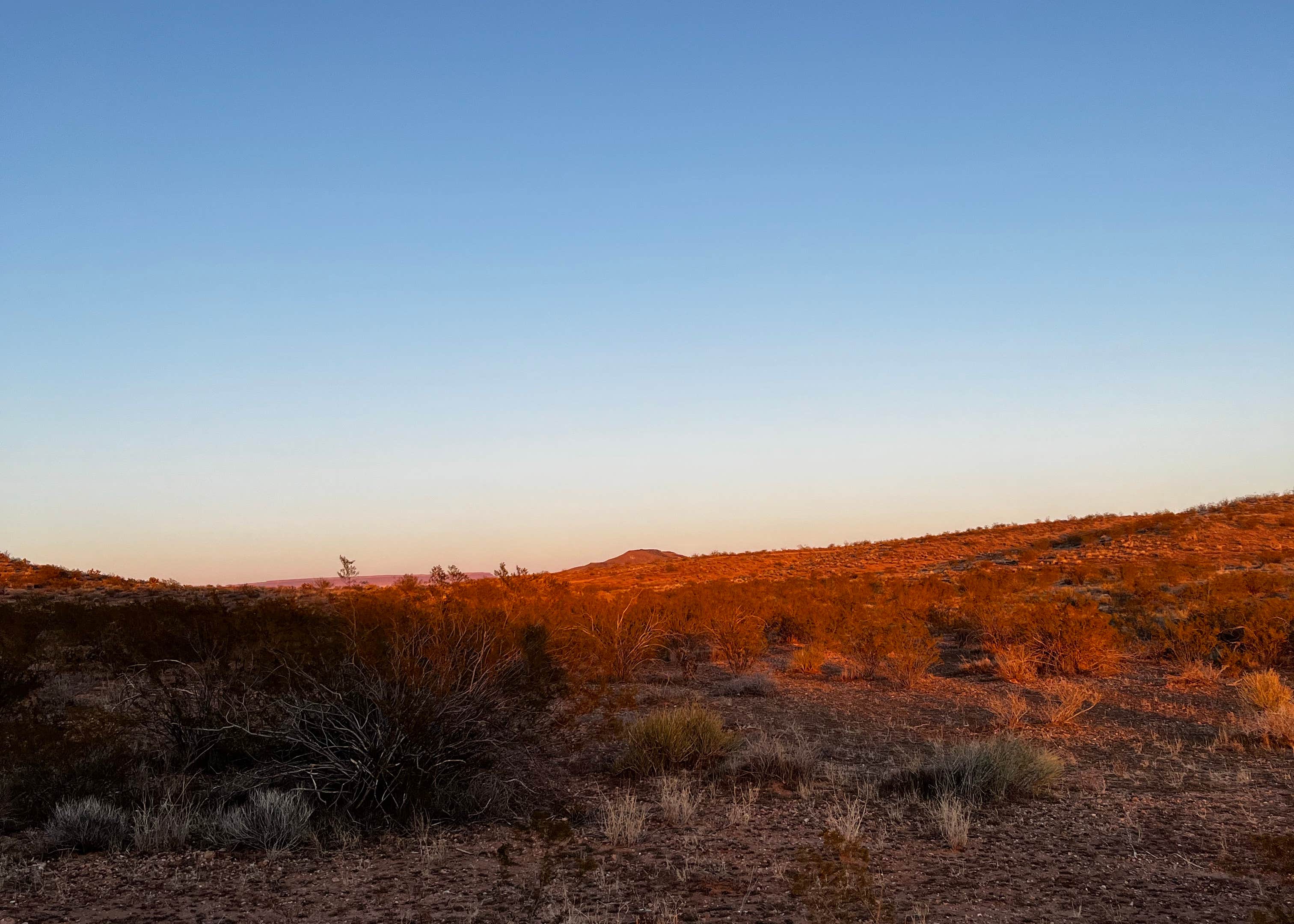 Mount Trumbull Loop Dispersed Camping | The Dyrt