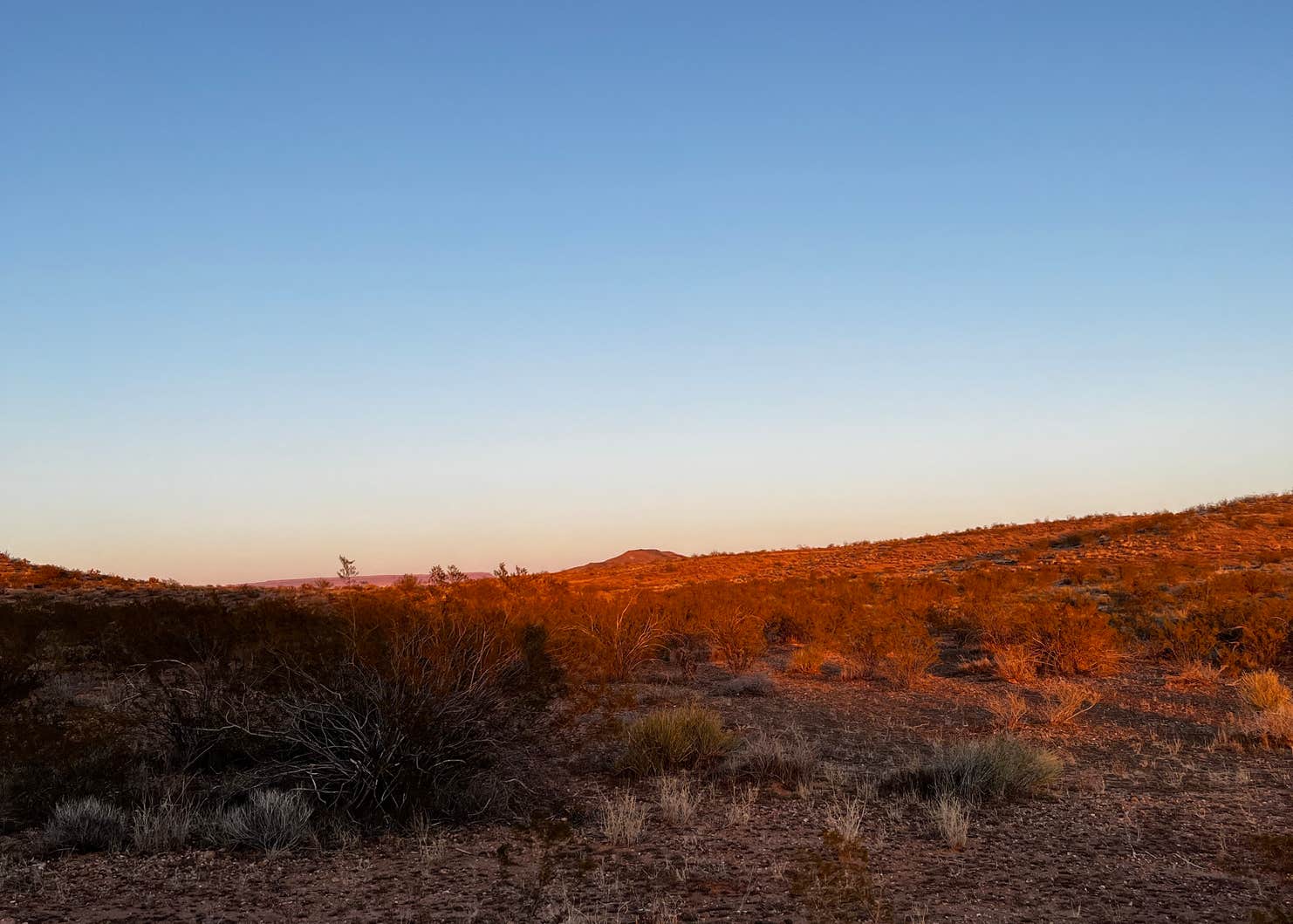 Mount Trumbull Loop Dispersed Camping | The Dyrt