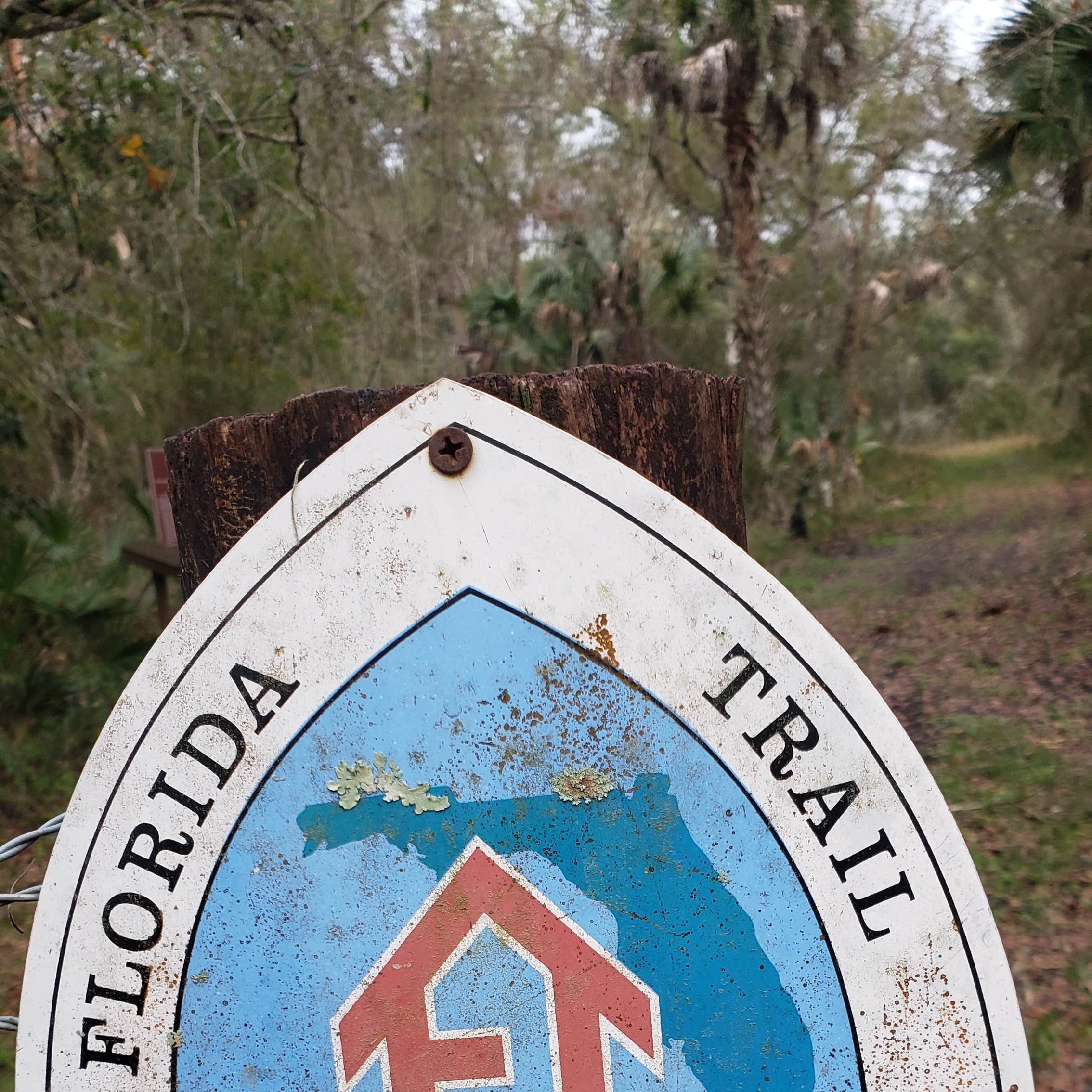 Green Swamp — East Tract Camping | Dade City, Florida