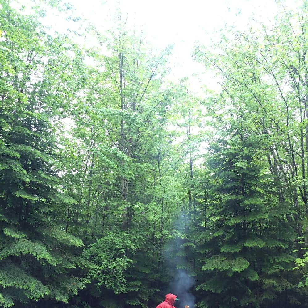 Rangeley Lake State Park Camping | The Dyrt