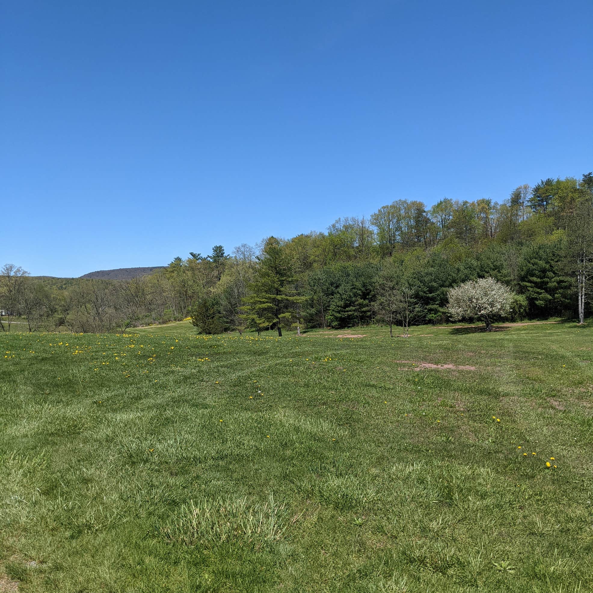 Hidden Valley Camping Resort Camping | The Dyrt