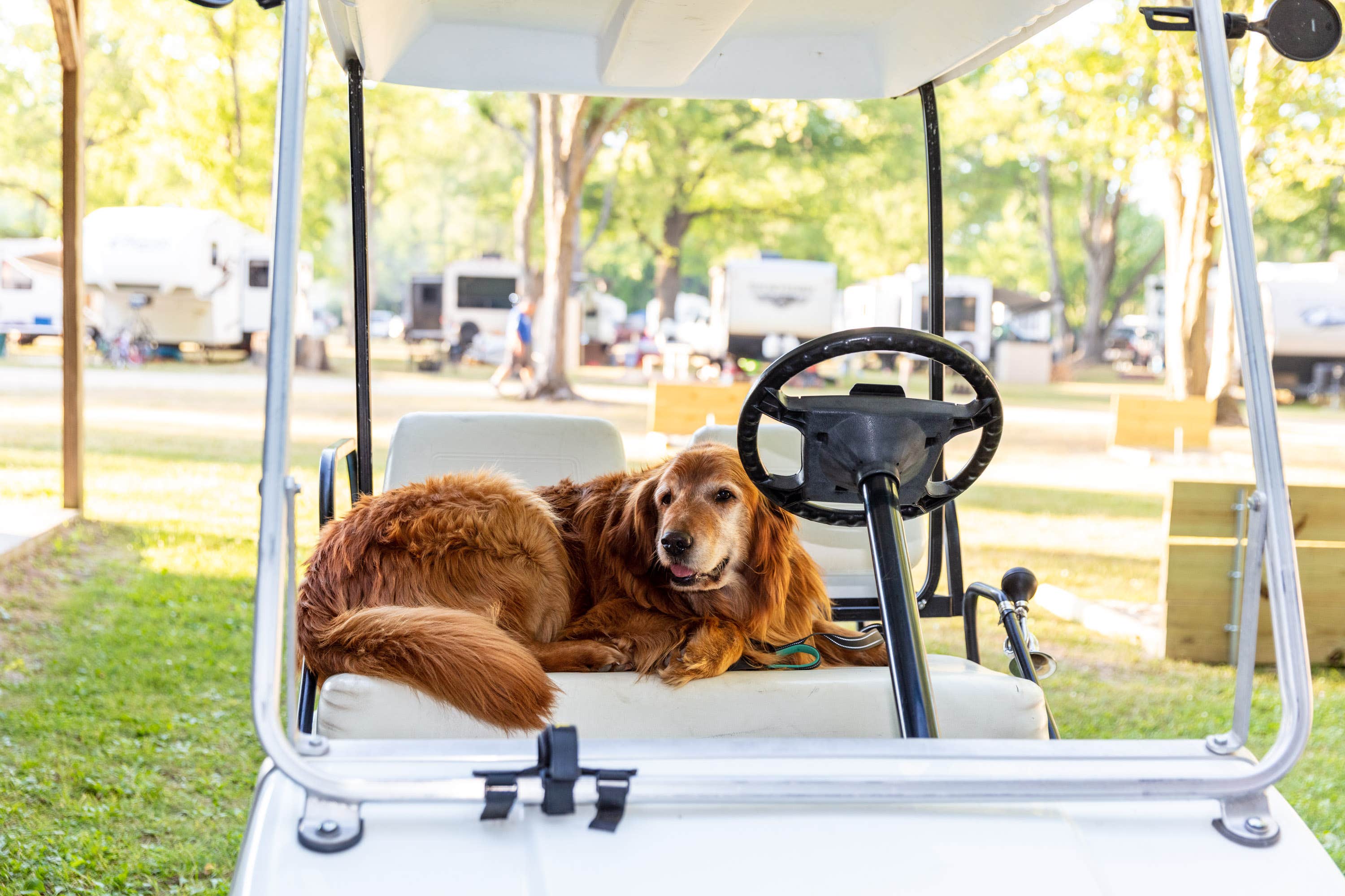 Rvino - Camp Cadillac, LLC | Cadillac, MI