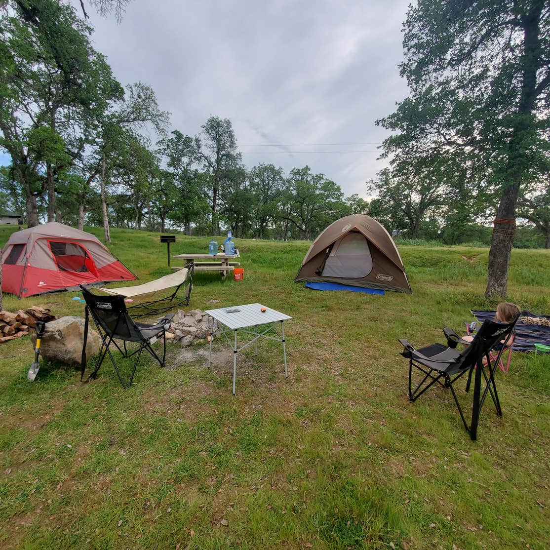 Camp Far West North Shore Camping | The Dyrt