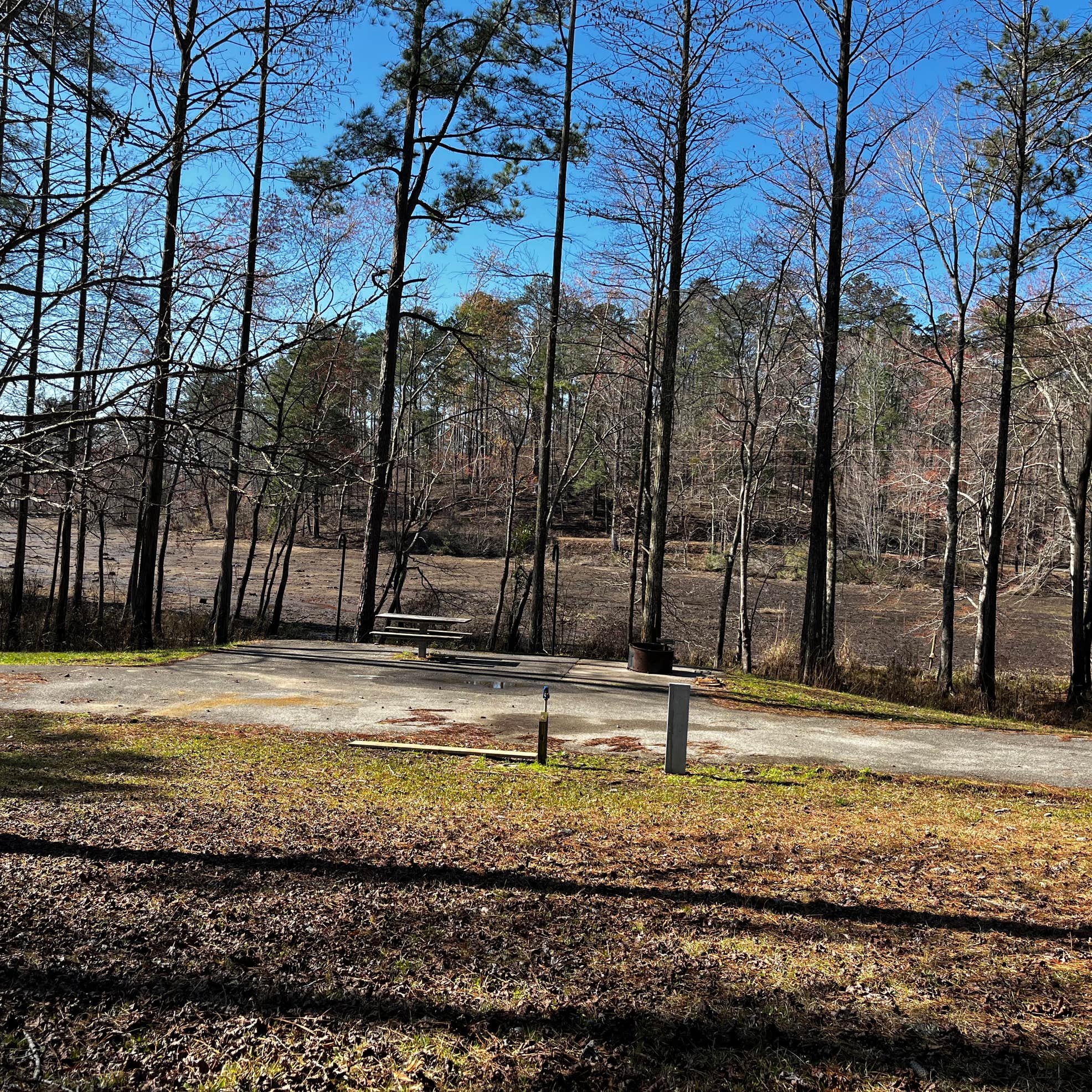 Payne Lake West Side Camping | The Dyrt