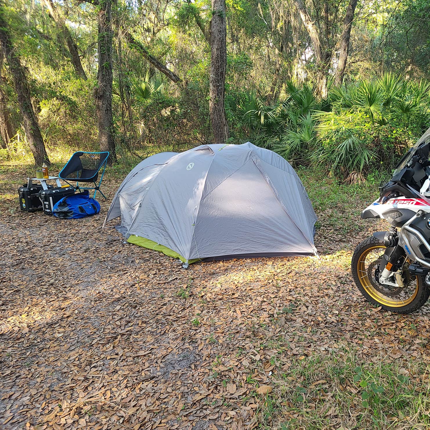 Peace River Campground | Arcadia, Florida