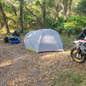 Peace River Campground | Arcadia, Florida