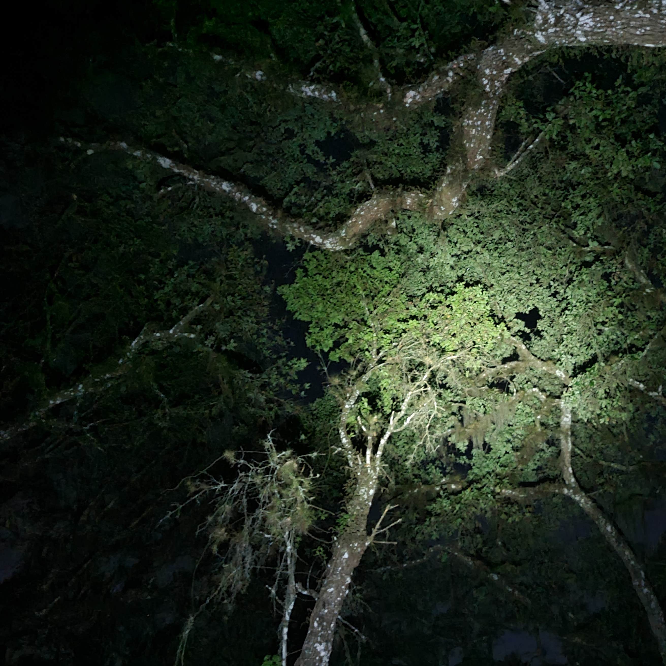 Peace River Campground | Arcadia, Florida