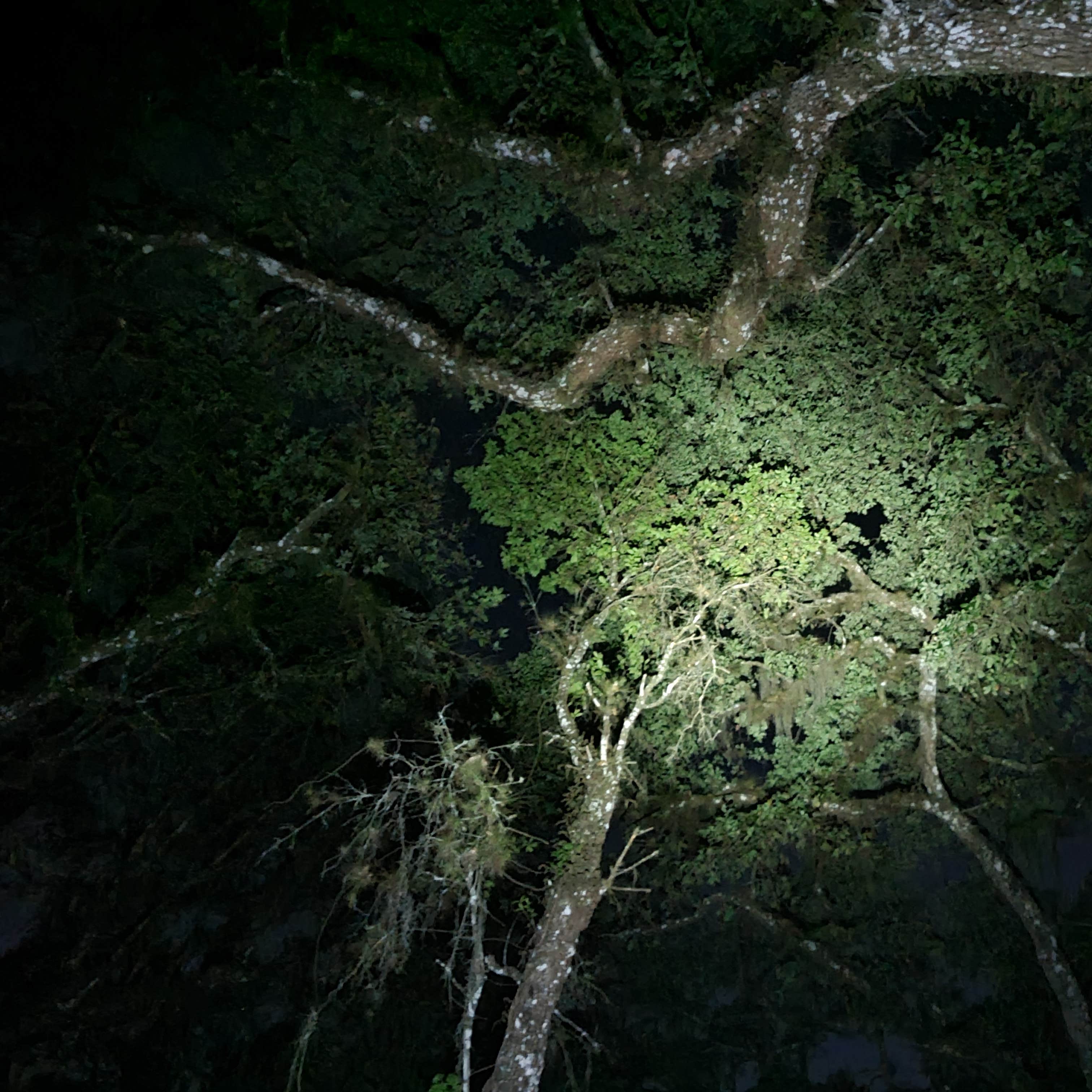 Peace River Campground | Arcadia, Florida