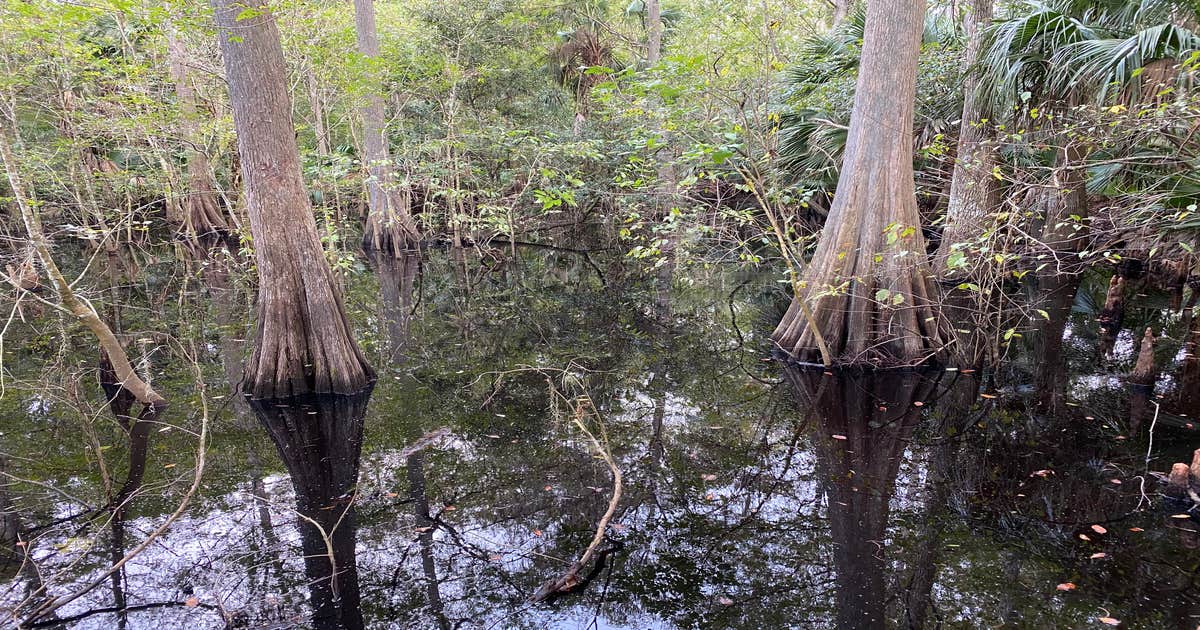 Lake Monroe Park Camping | The Dyrt