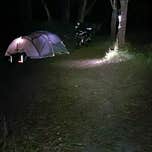 Peace River Campground | Arcadia, Florida