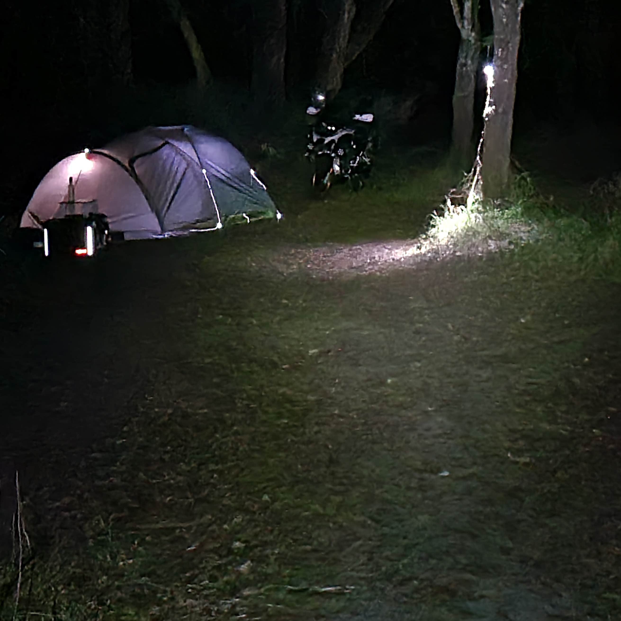 Peace River Campground | Arcadia, Florida