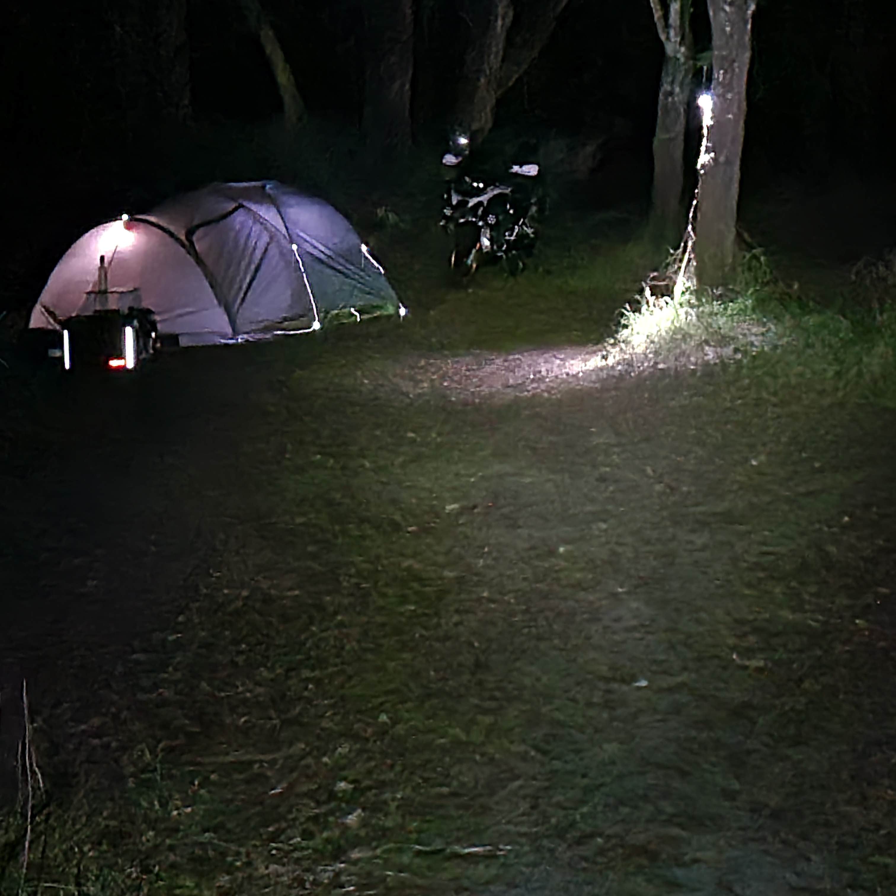 Peace River Campground | Arcadia, Florida