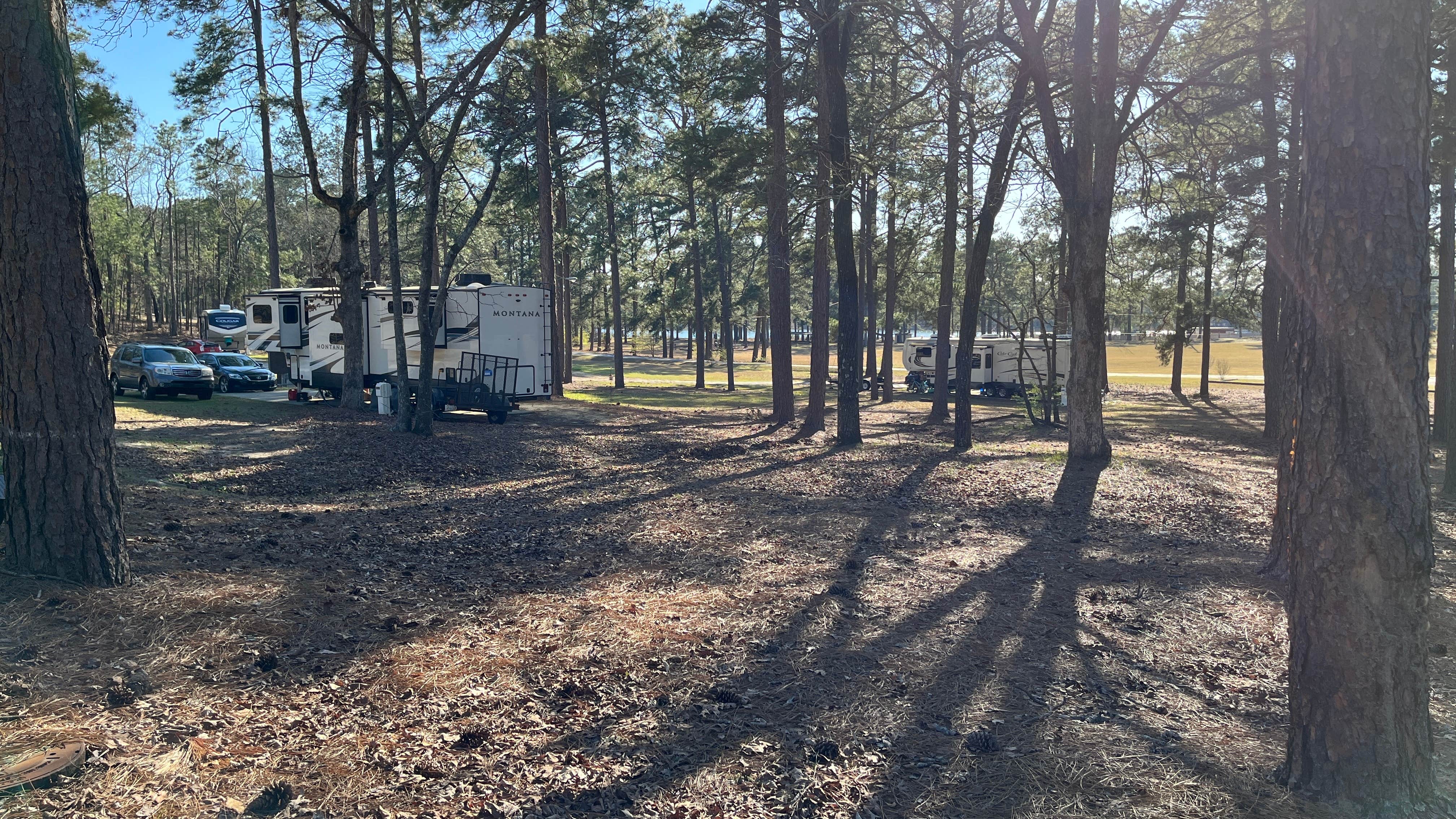 Weston Lake Recreation Area Camping | Columbia, South Carolina