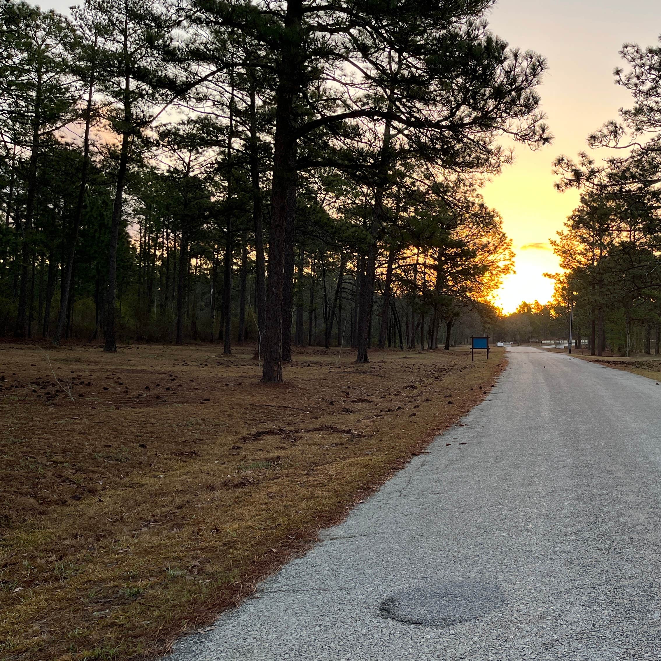 Weston Lake Recreation Area Camping | Columbia, South Carolina