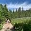 Pipi Campground | Grizzly Flats, California