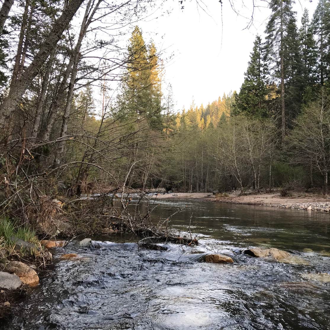Pipi Campground | Grizzly Flats, California