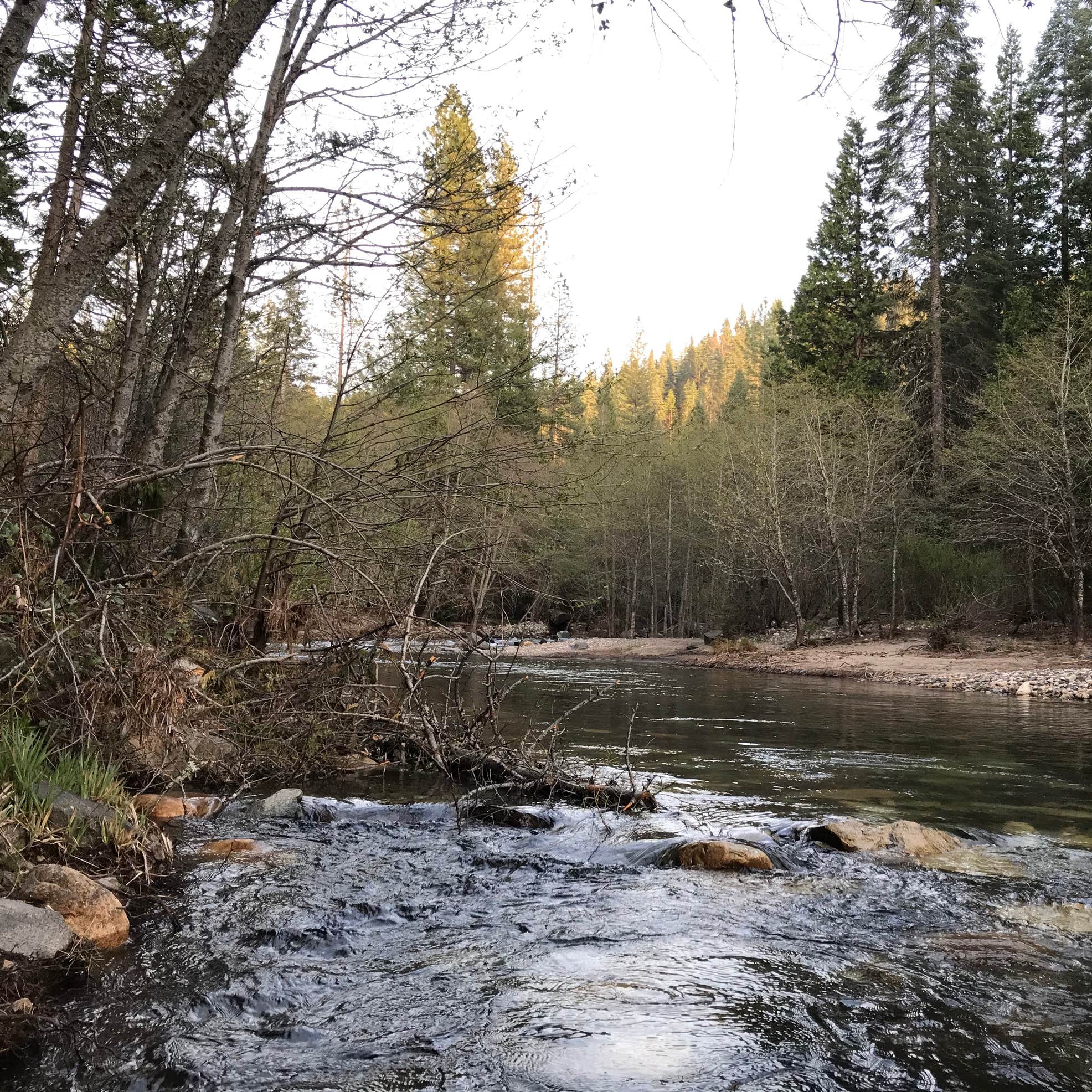 Pipi Campground | Grizzly Flats, California