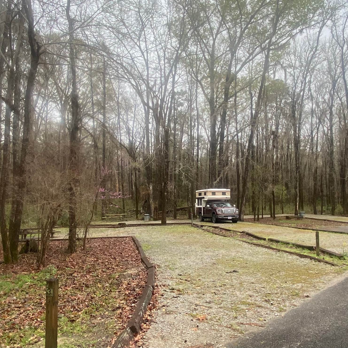 Elm Bluff Campground — Alabama River Lakes | Camden, Alabama