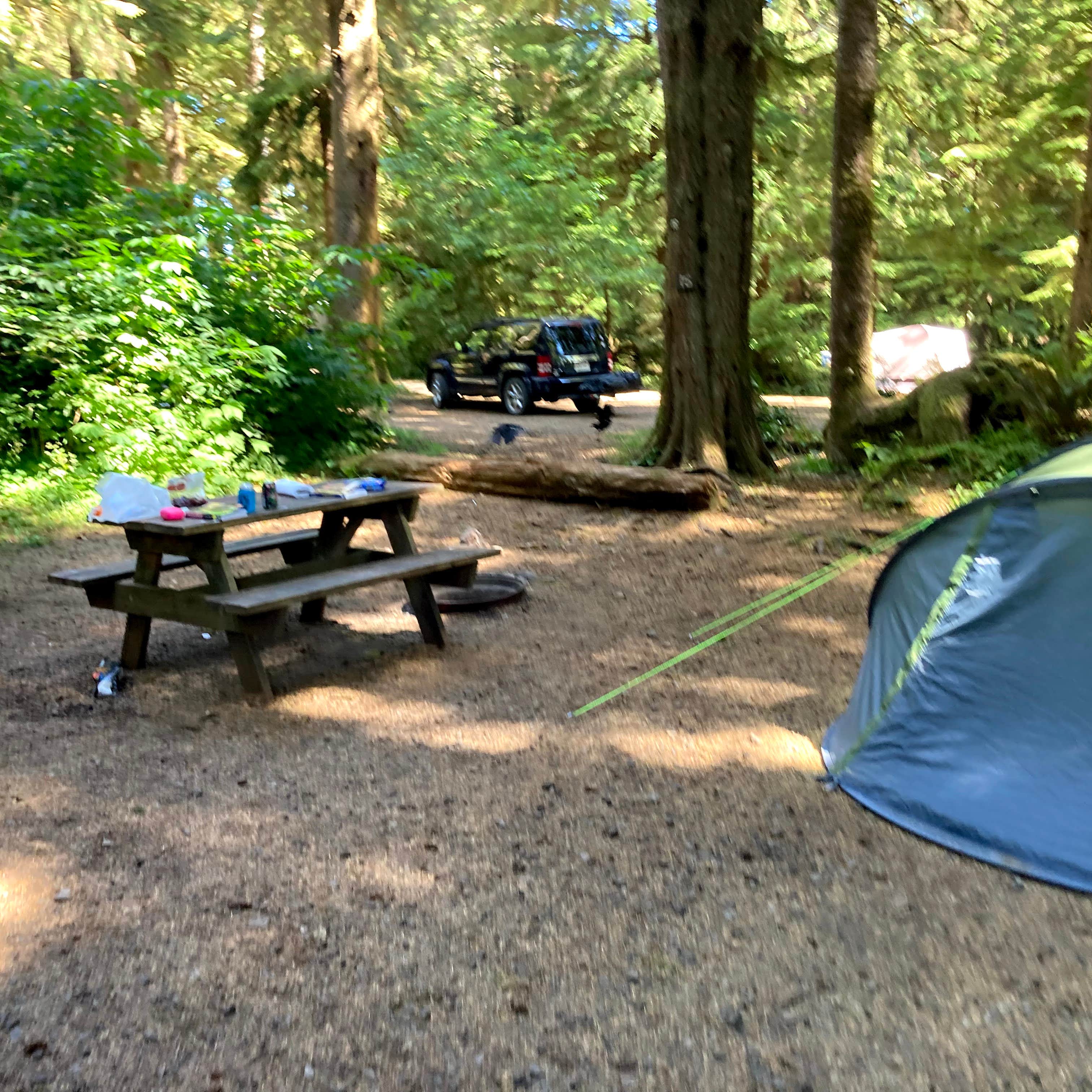 3 Rivers Resort Camping | The Dyrt
