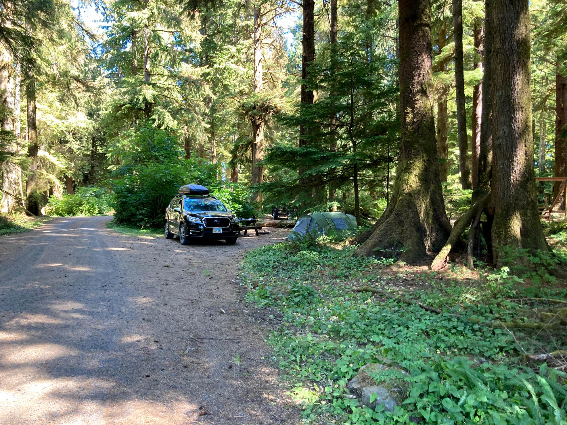 3 Rivers Resort Camping | The Dyrt