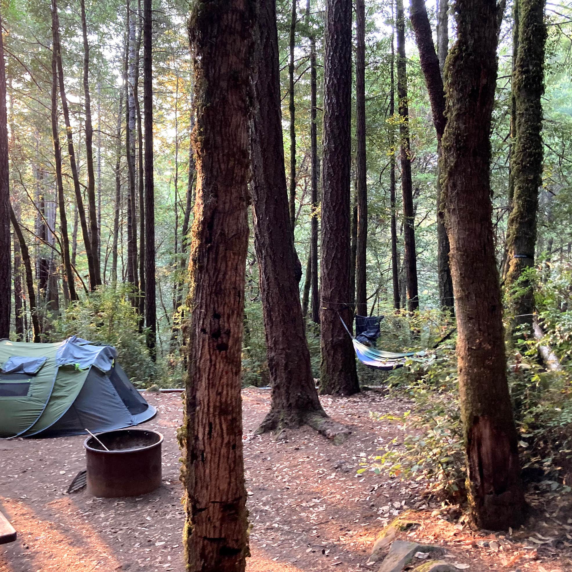 Hidden Springs Campground — Humboldt Redwoods State Park | Myers Flat ...