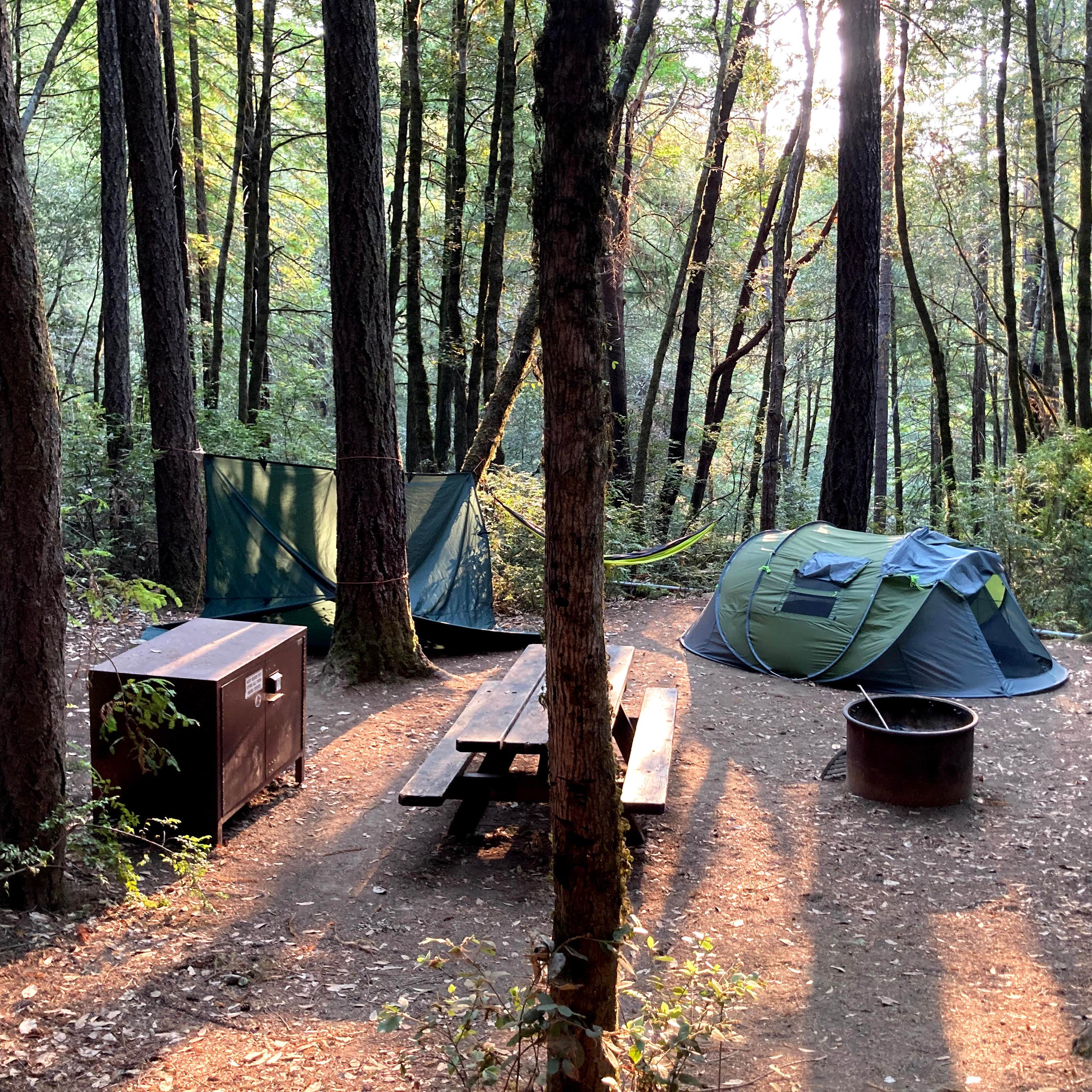 Hidden Springs Campground — Humboldt Redwoods State Park | Myers Flat ...