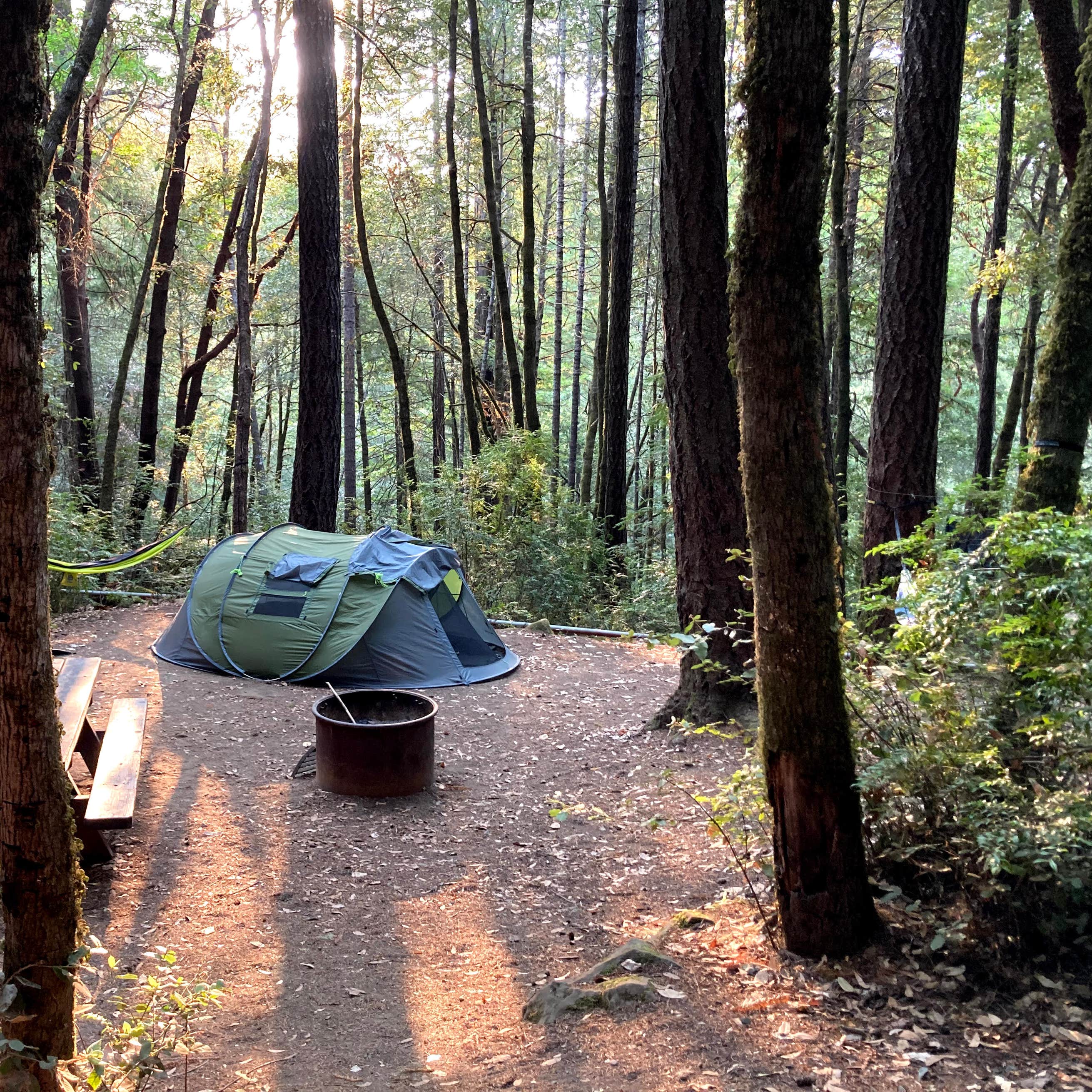 Hidden Springs Campground — Humboldt Redwoods State Park | Myers Flat ...