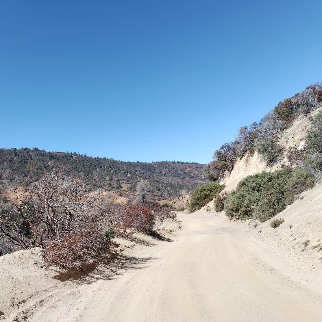 Sawmill Campground | Lake Hughes, California