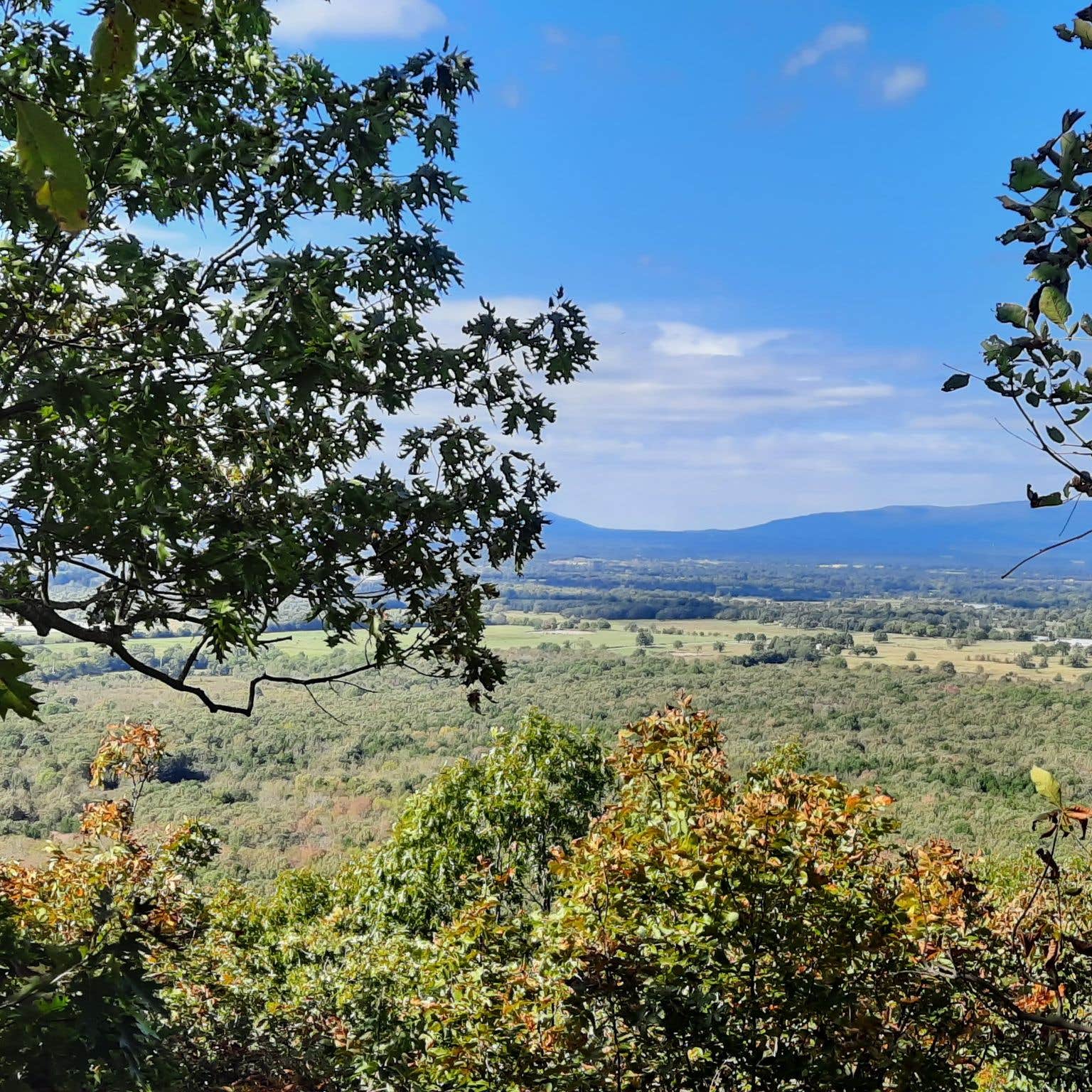 Heavener Runestone Park Camping | The Dyrt