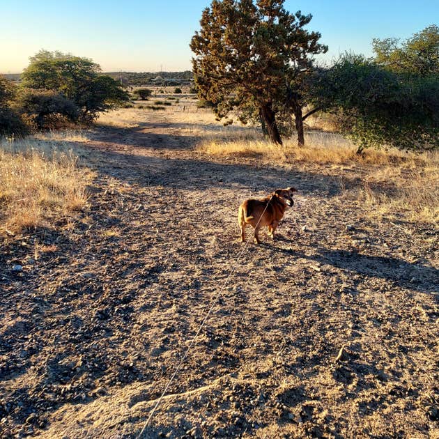 Ridge Park RV | Silver City, New Mexico