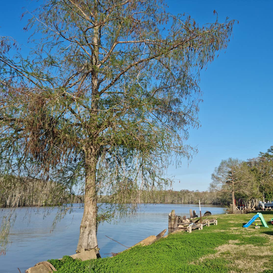 Mermentau River RV Park | Gueydan, LA