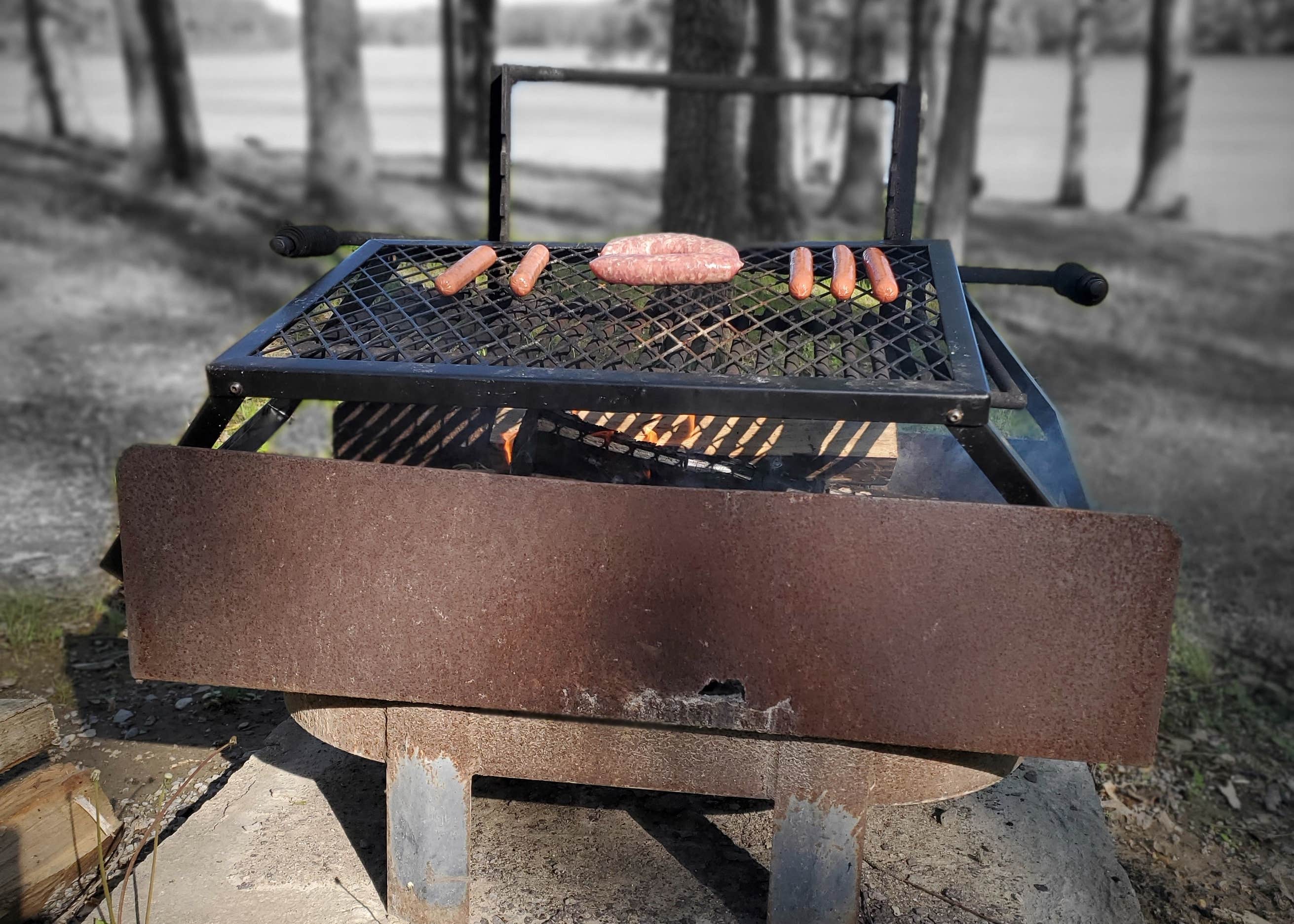 Sam Dale Lake Conservation Area Camping | The Dyrt