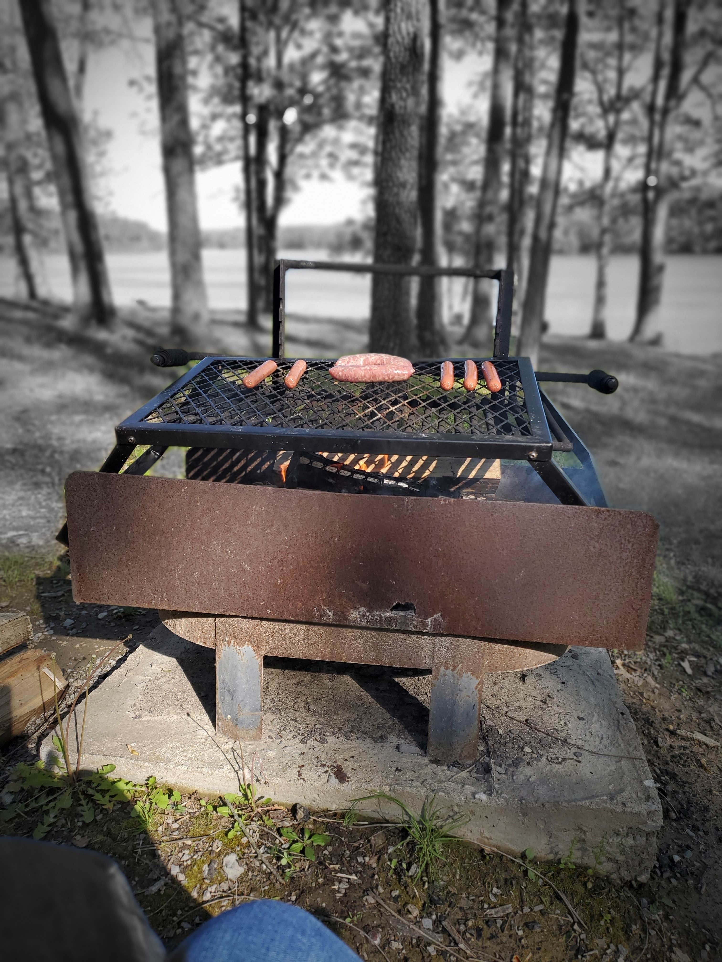 Sam Dale Lake State Conservation Area Camping | Johnsonville, IL