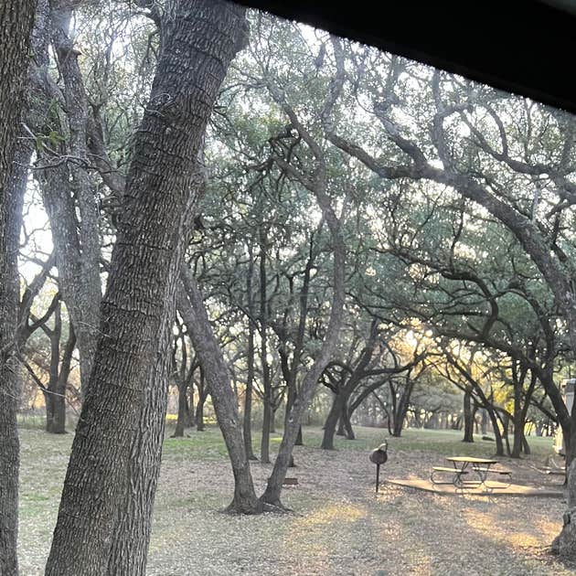 Live Oak Ridge Camping | Belton, Texas