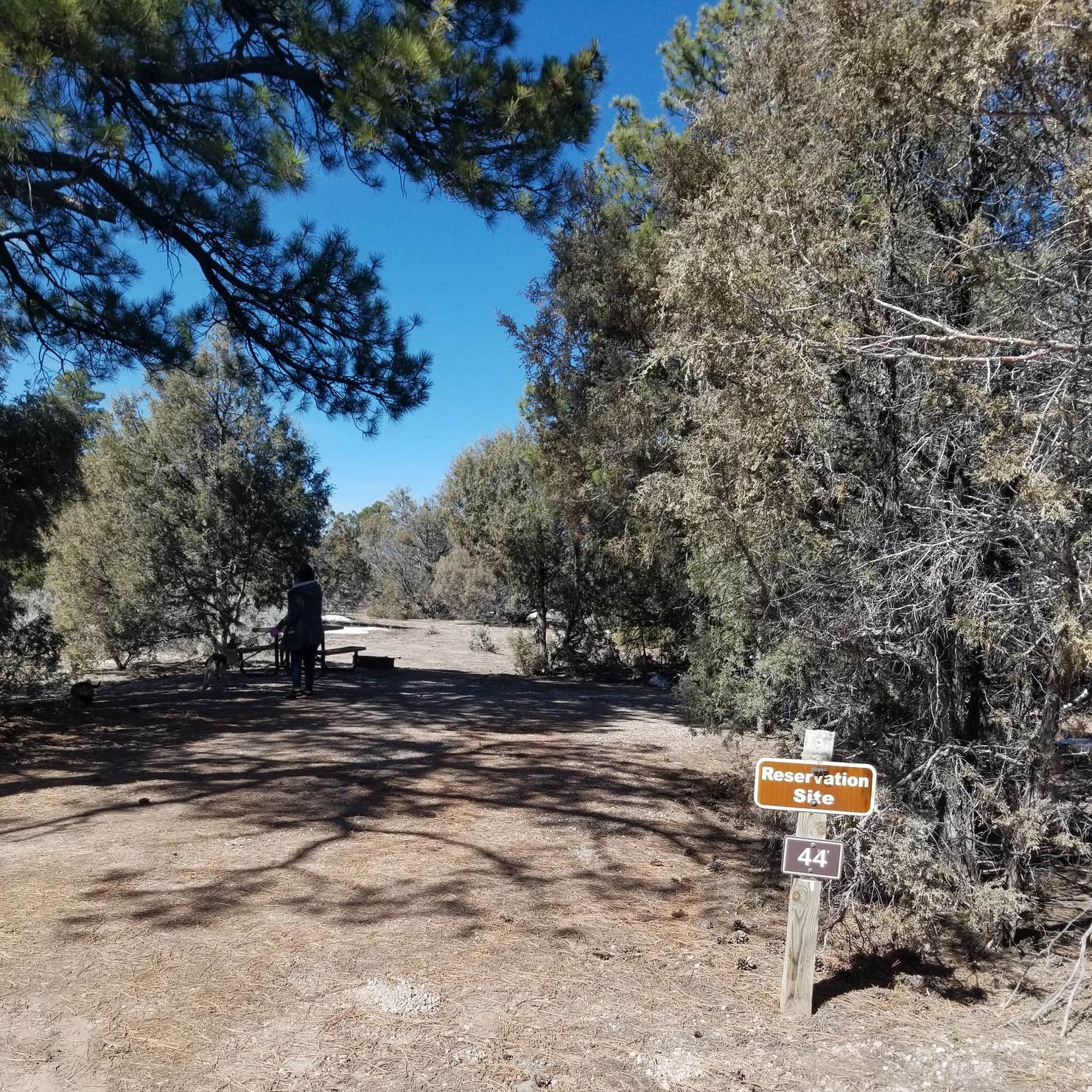 Blanco Campground — Heron Lake State Park | Tierra Amarilla, New Mexico