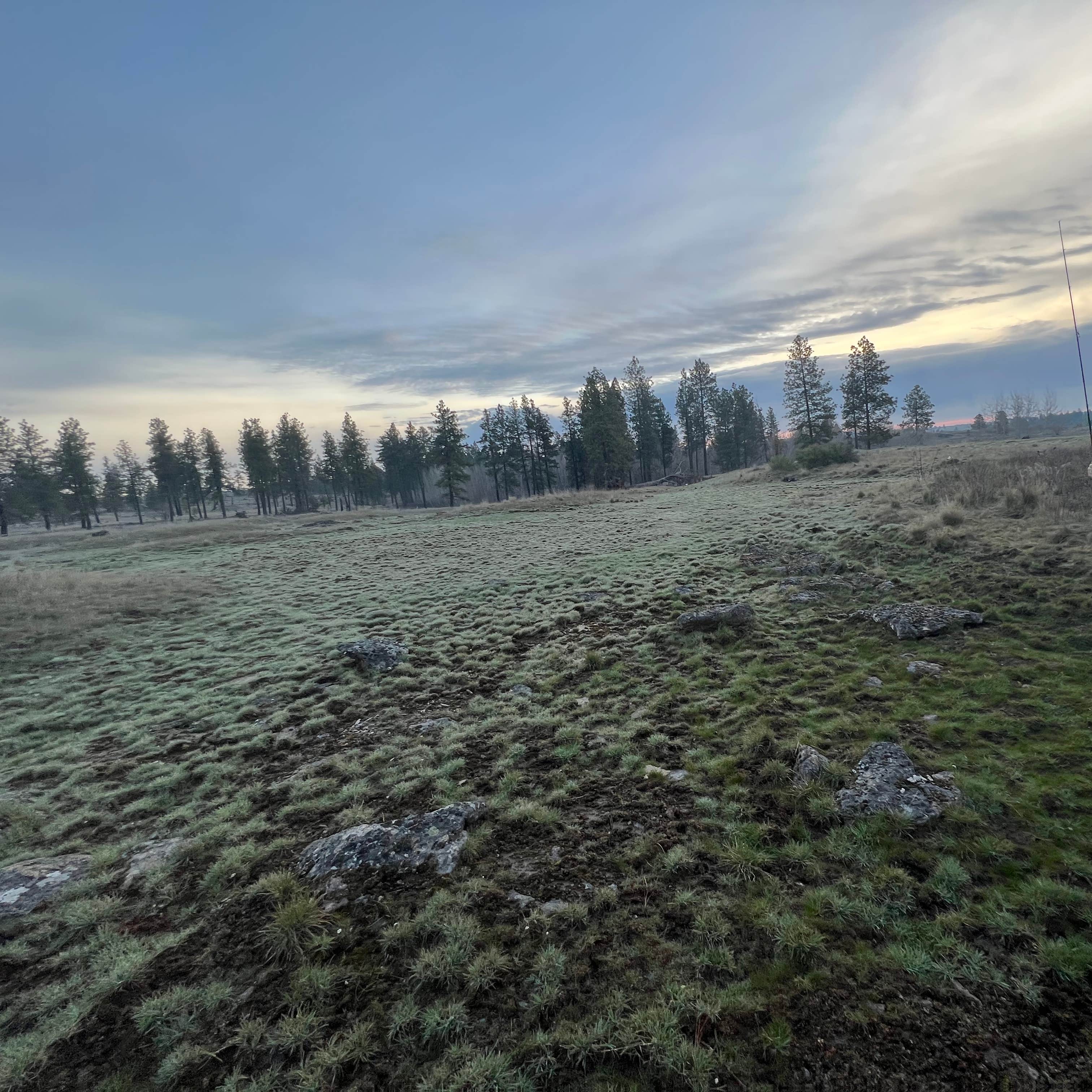 Hog Lake Campground Camping | The Dyrt