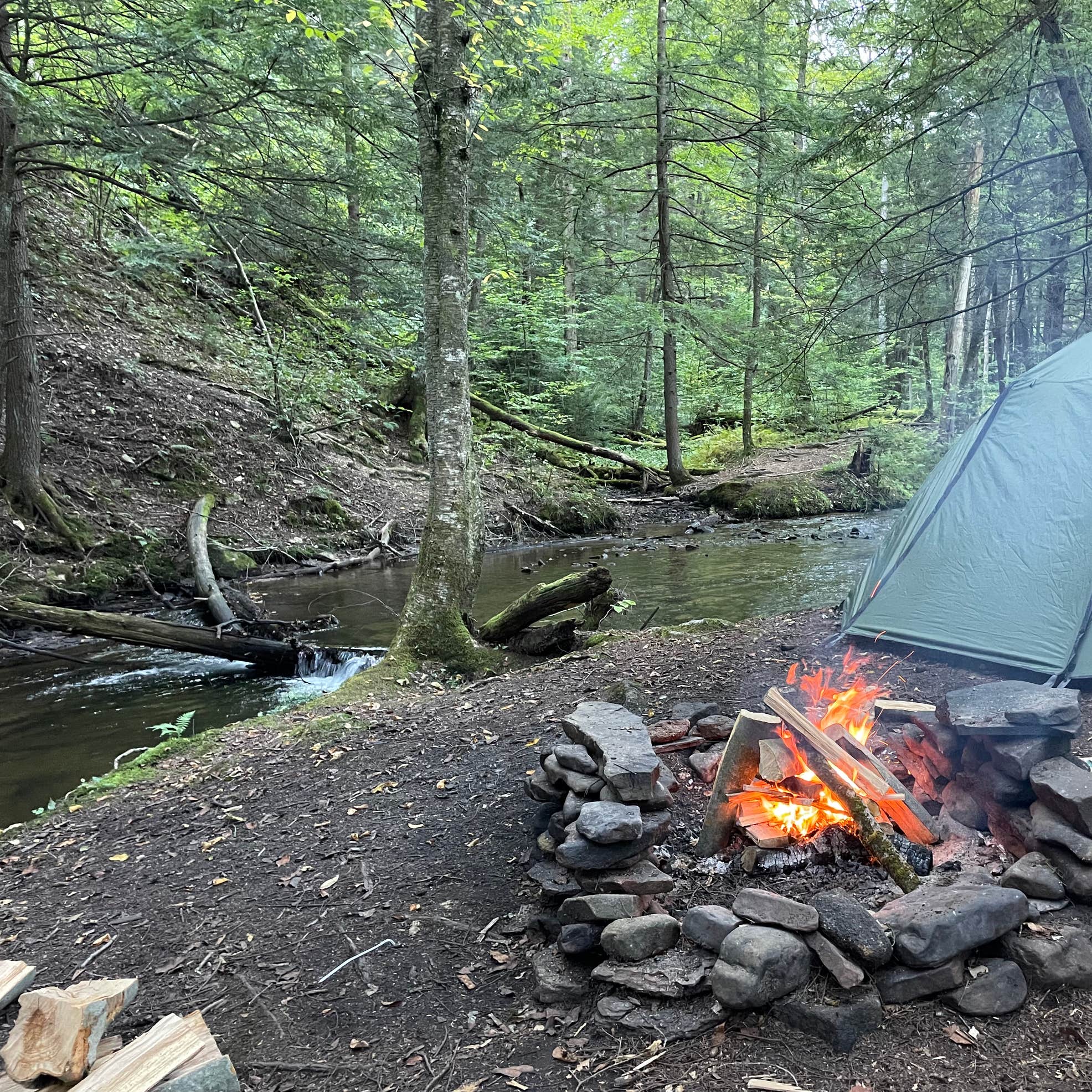 Minister Creek Campground Camping | The Dyrt