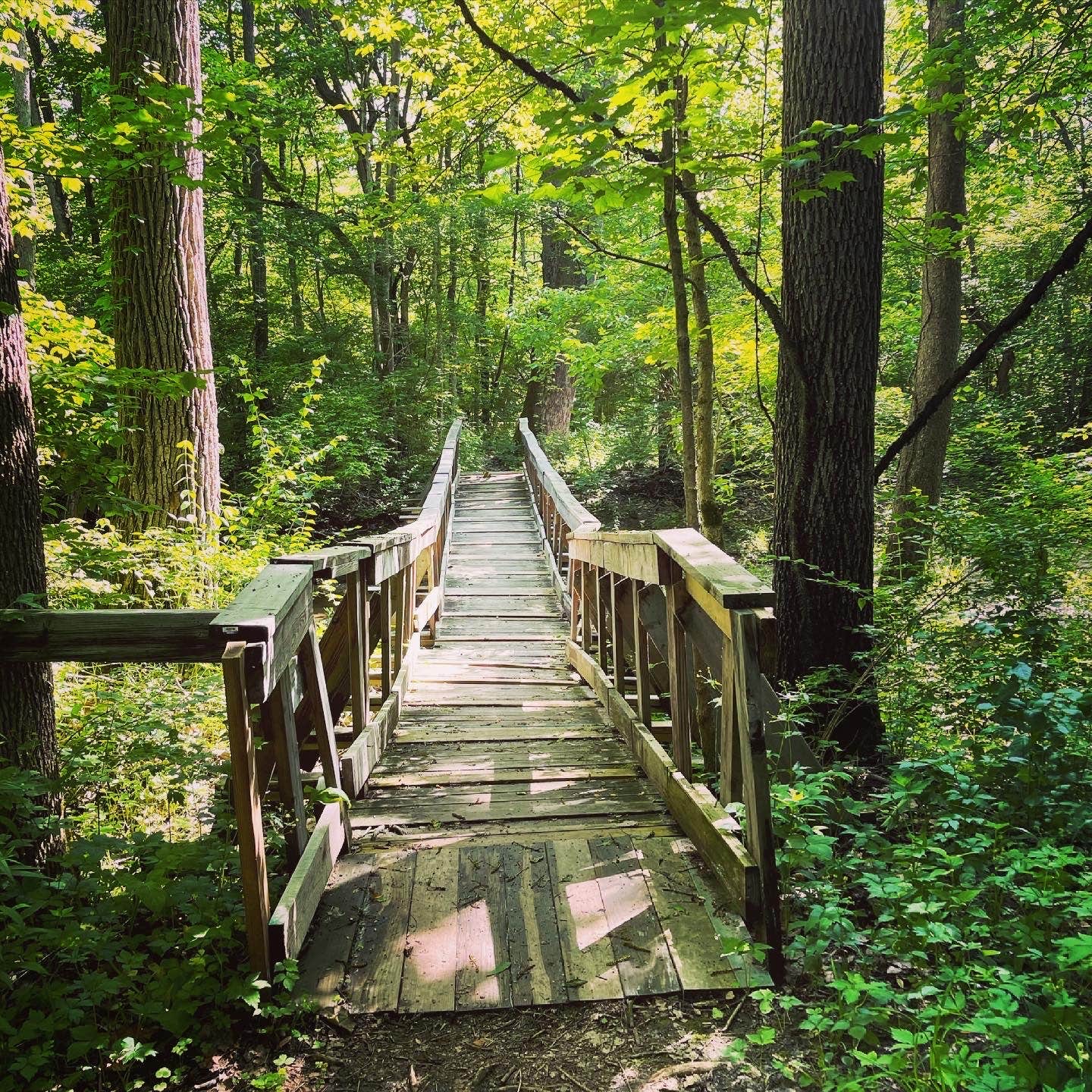 Sycamore State Park Campground | Brookville, OH