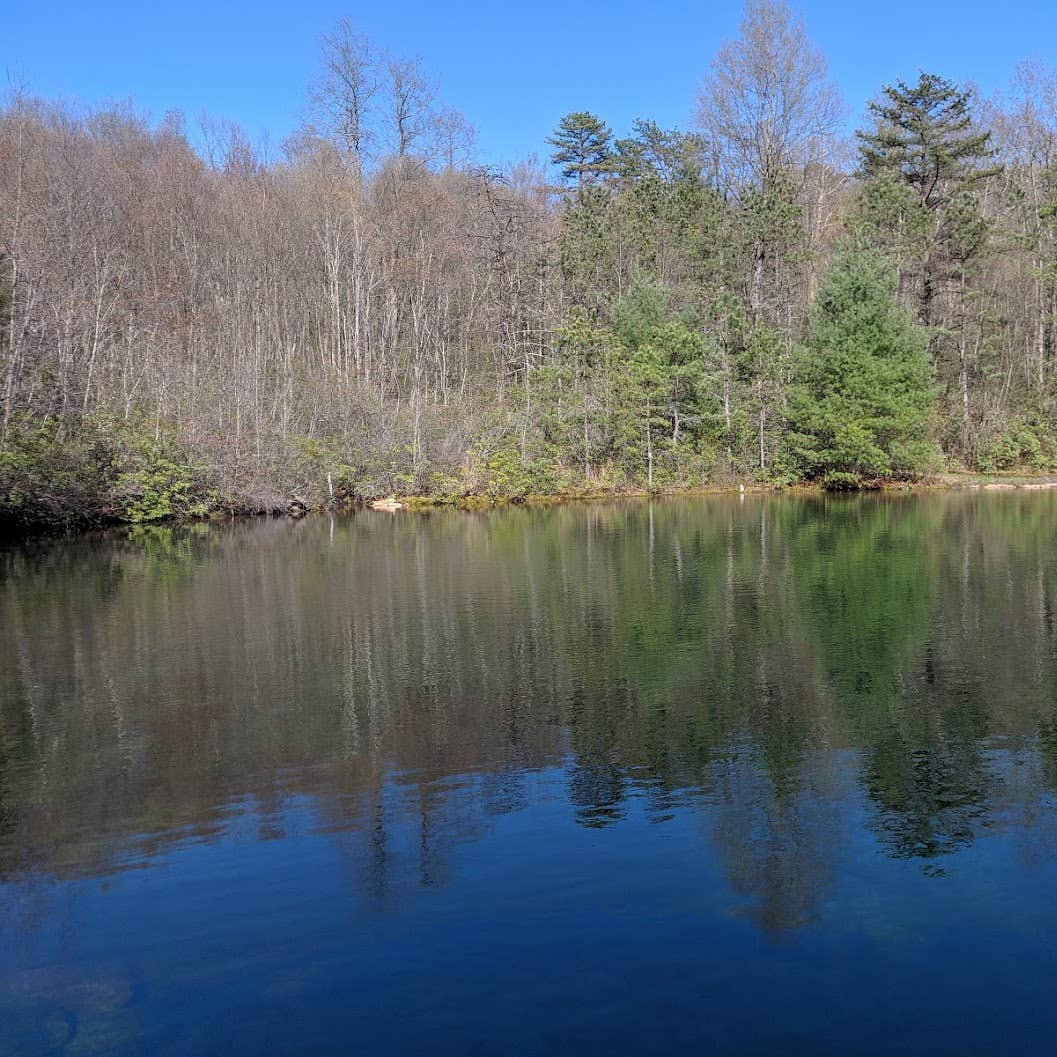 Emerald Pond Primitive Campground Camping | The Dyrt