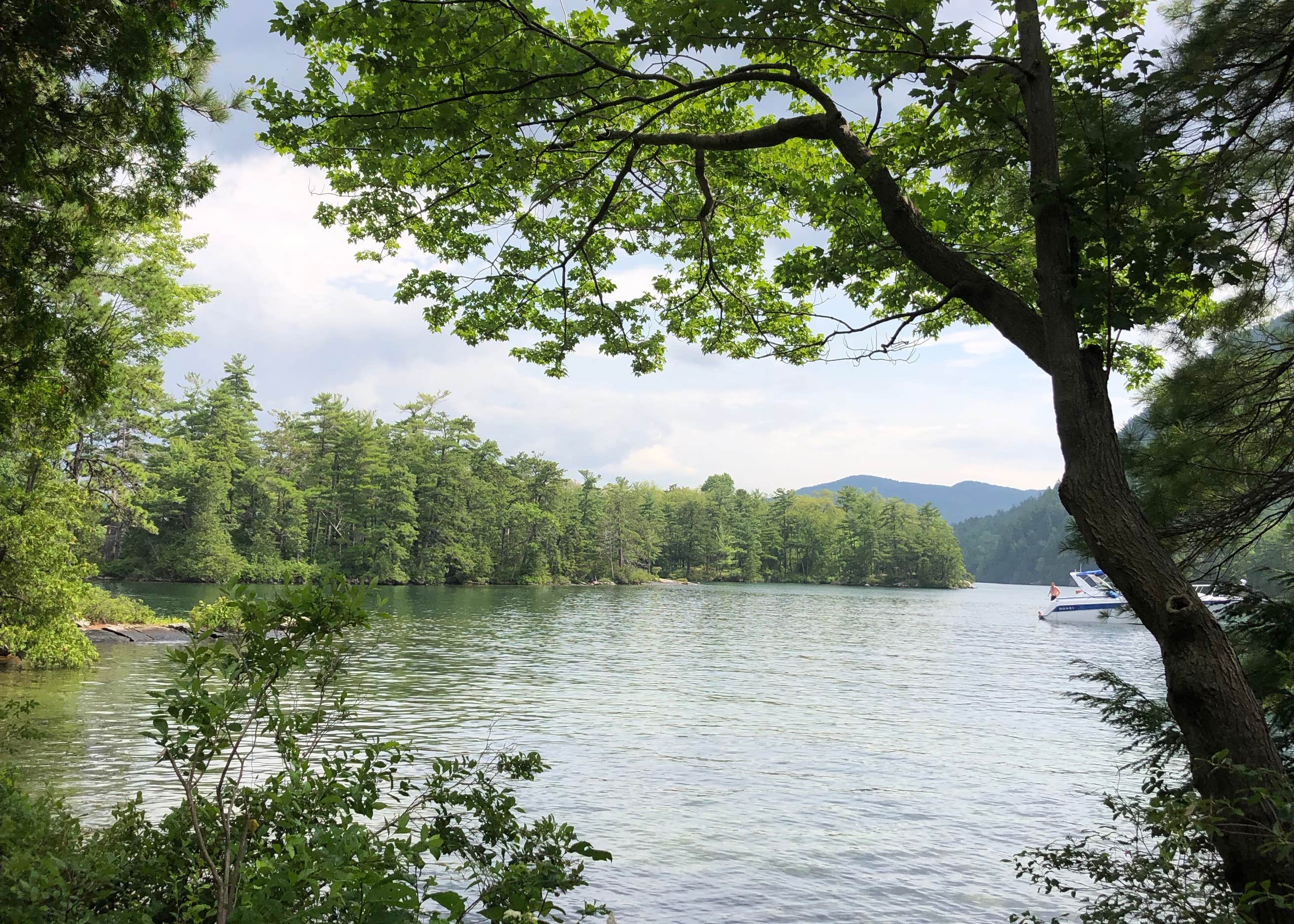 Lake George Islands Narrow Island Group Camping | The Dyrt