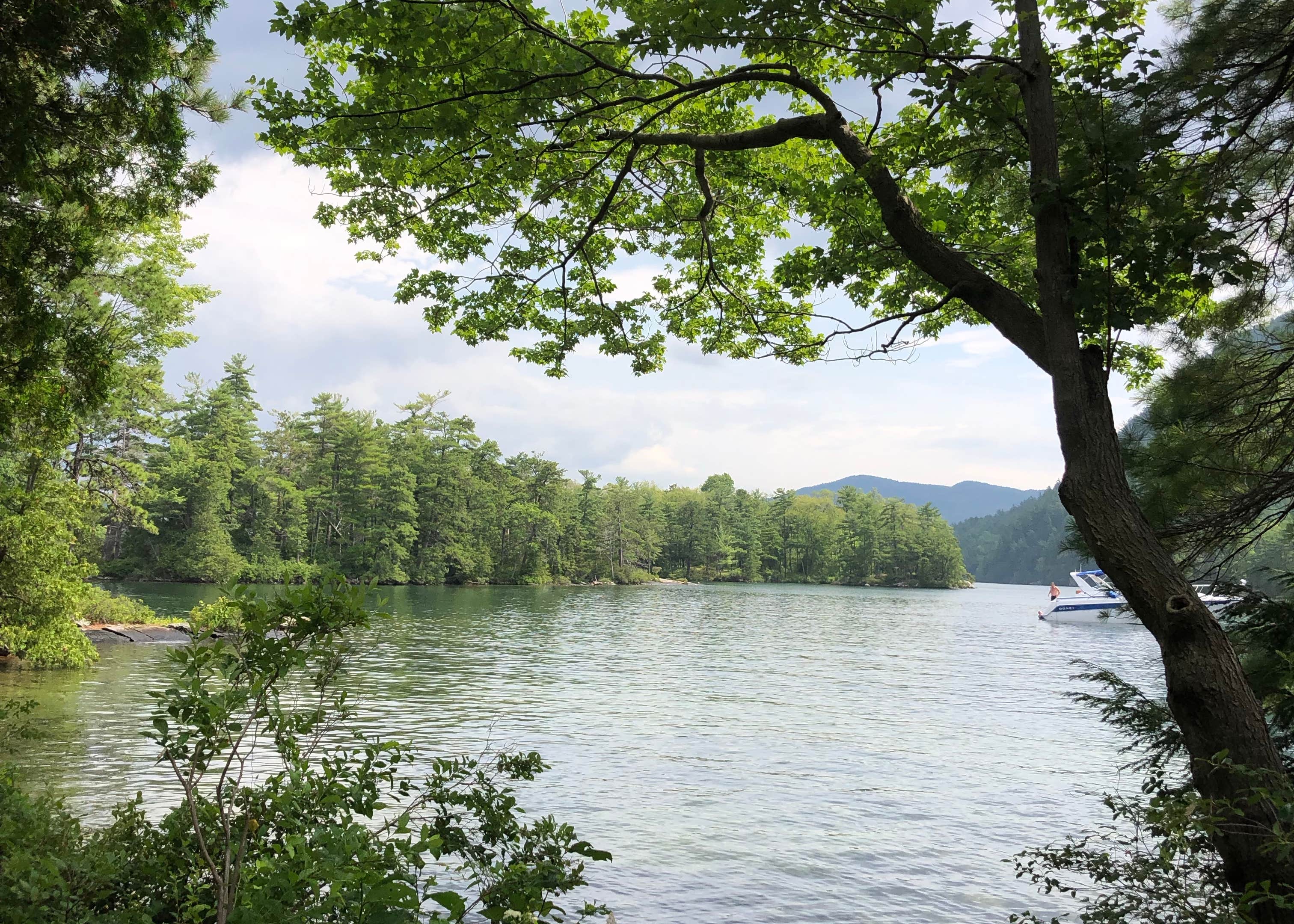 Lake George Islands Narrow Island Group Camping | The Dyrt