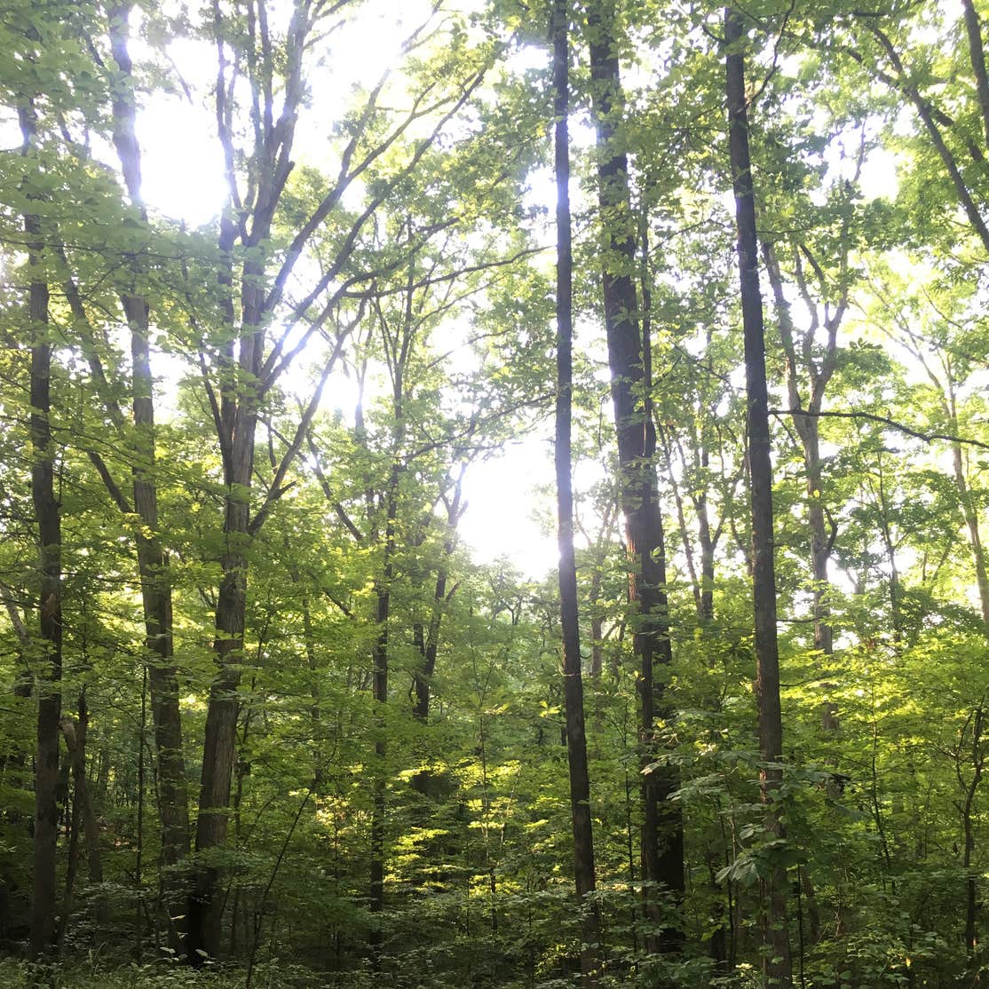 Hardin Ridge Camping | The Dyrt