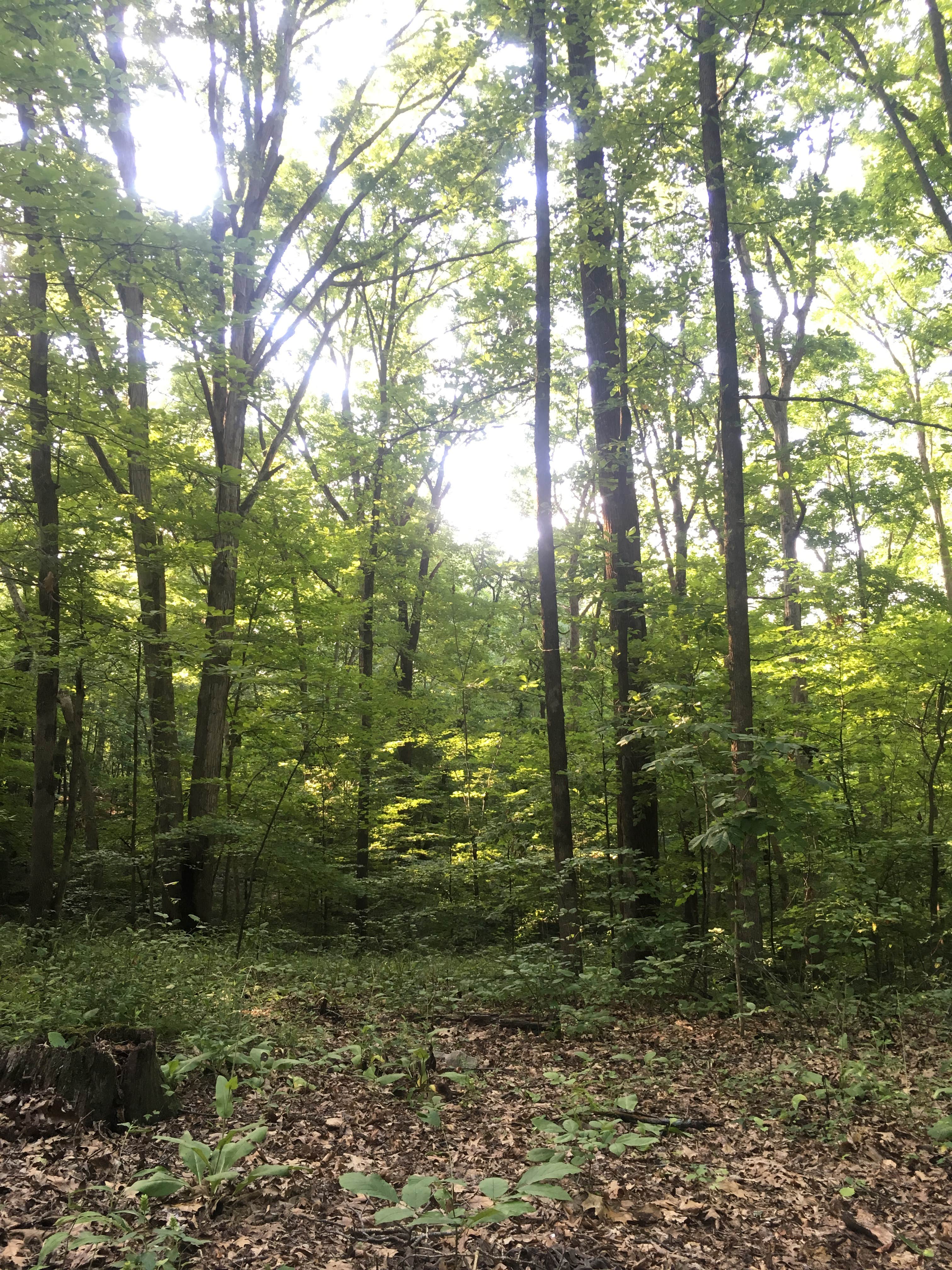 Hardin Ridge Camping | Heltonville, IN