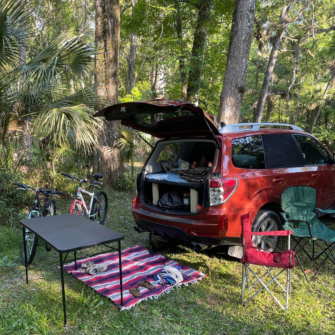 Green Swamp — West Tract Camping | Dade City, Florida